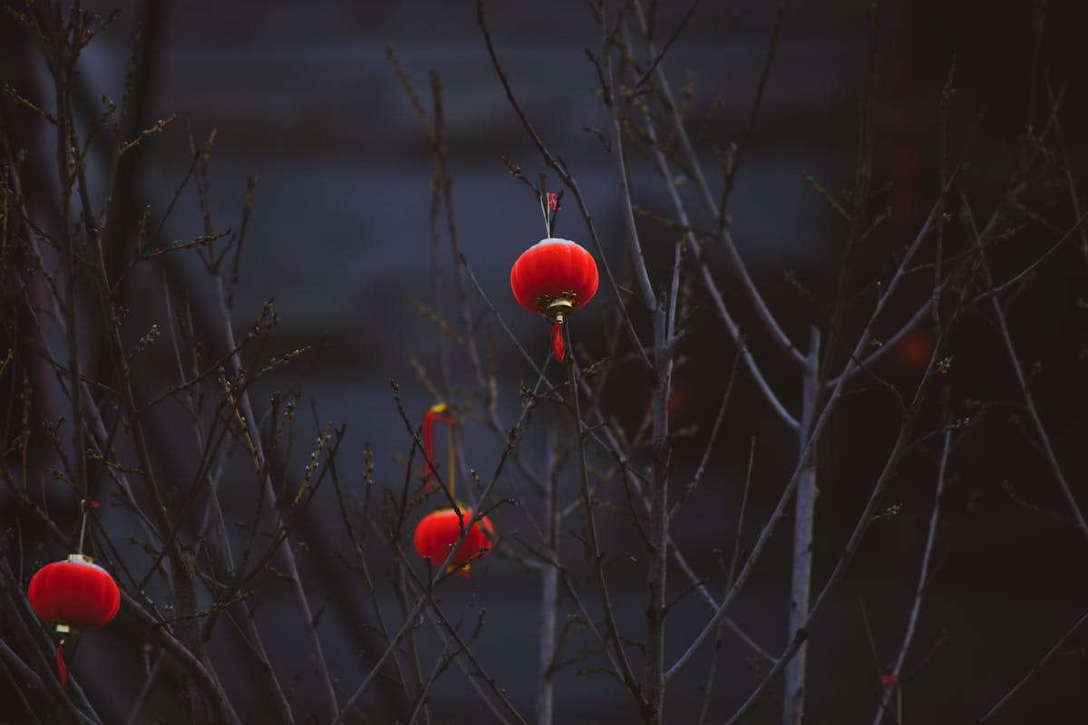 Red Rice Photos, Download The BEST Free Red Rice Stock Photos & HD Images