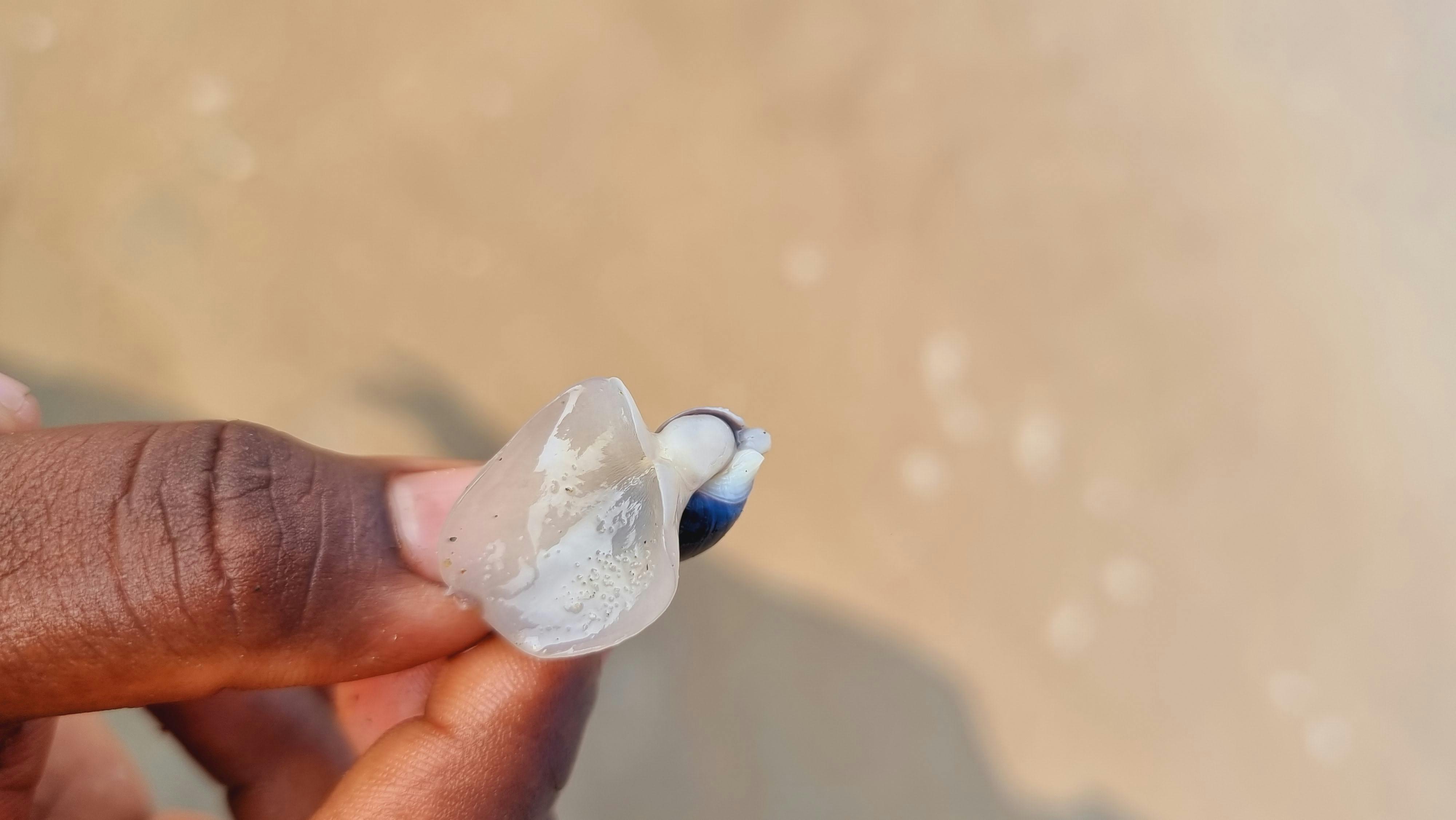 NEIL RASQUINHA - Photography