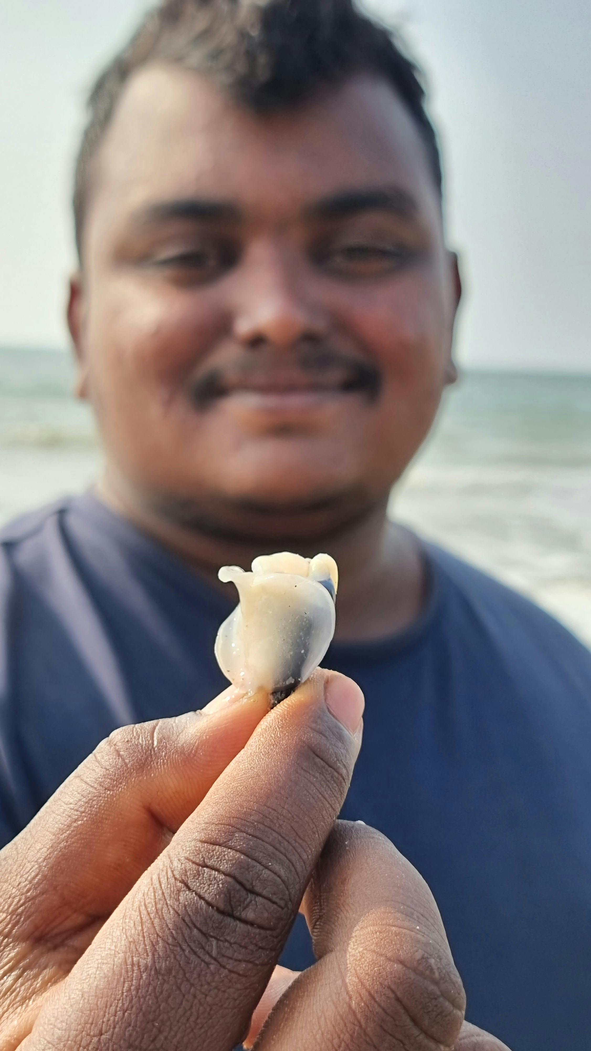 NEIL RASQUINHA - Photography