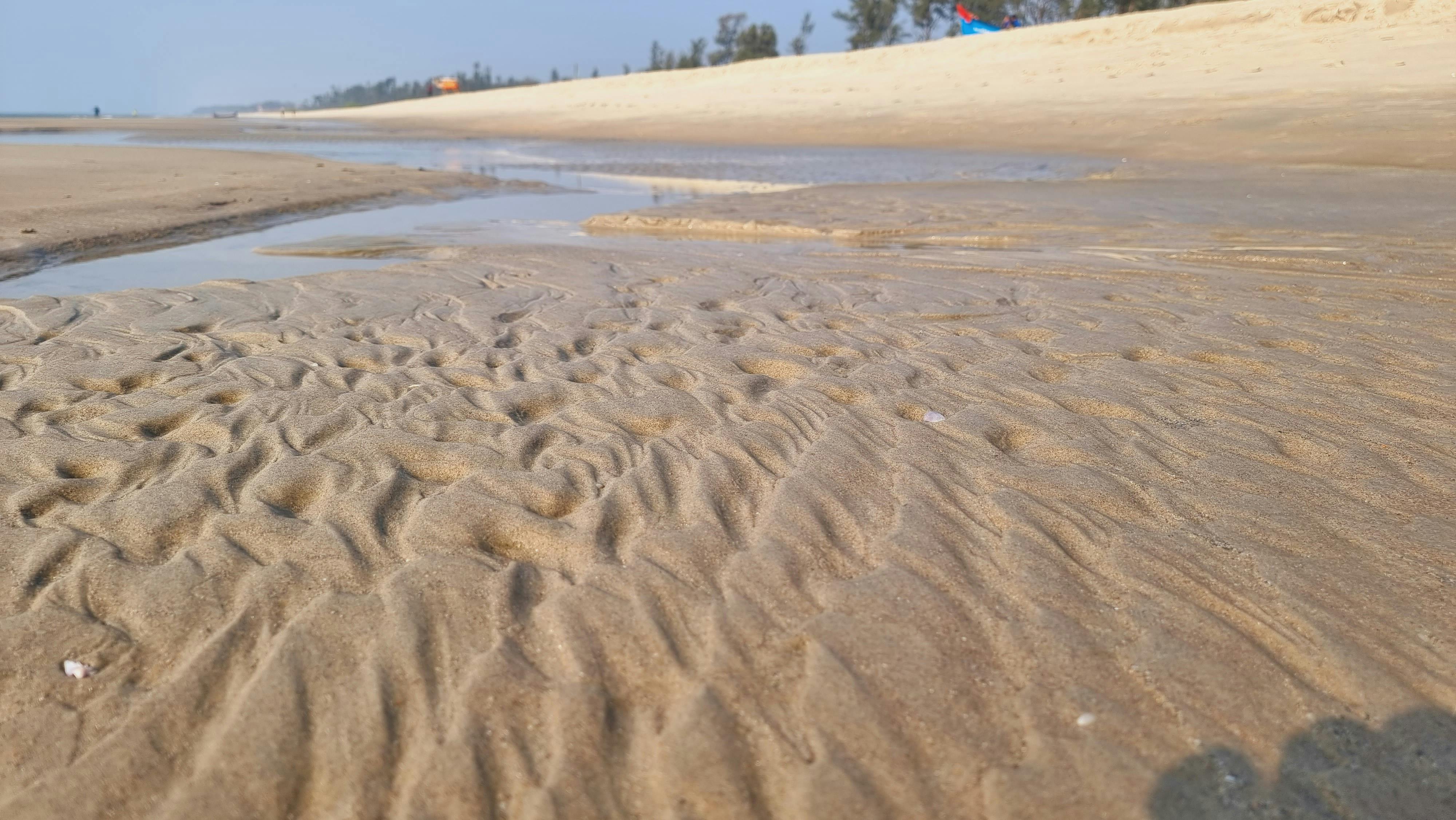 NEIL RASQUINHA - Photography