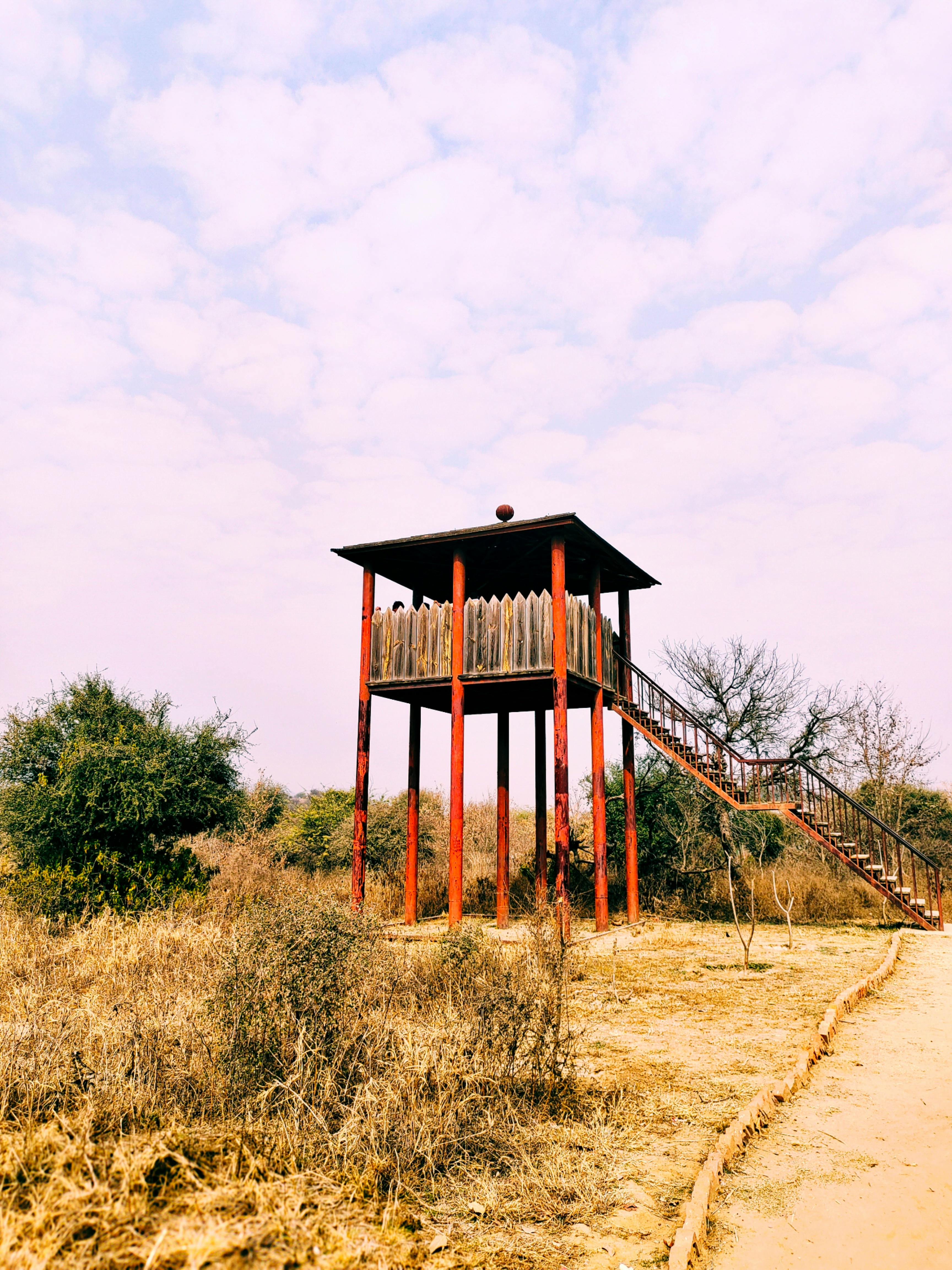Wooden Tower in Wilderness · Free Stock Photo