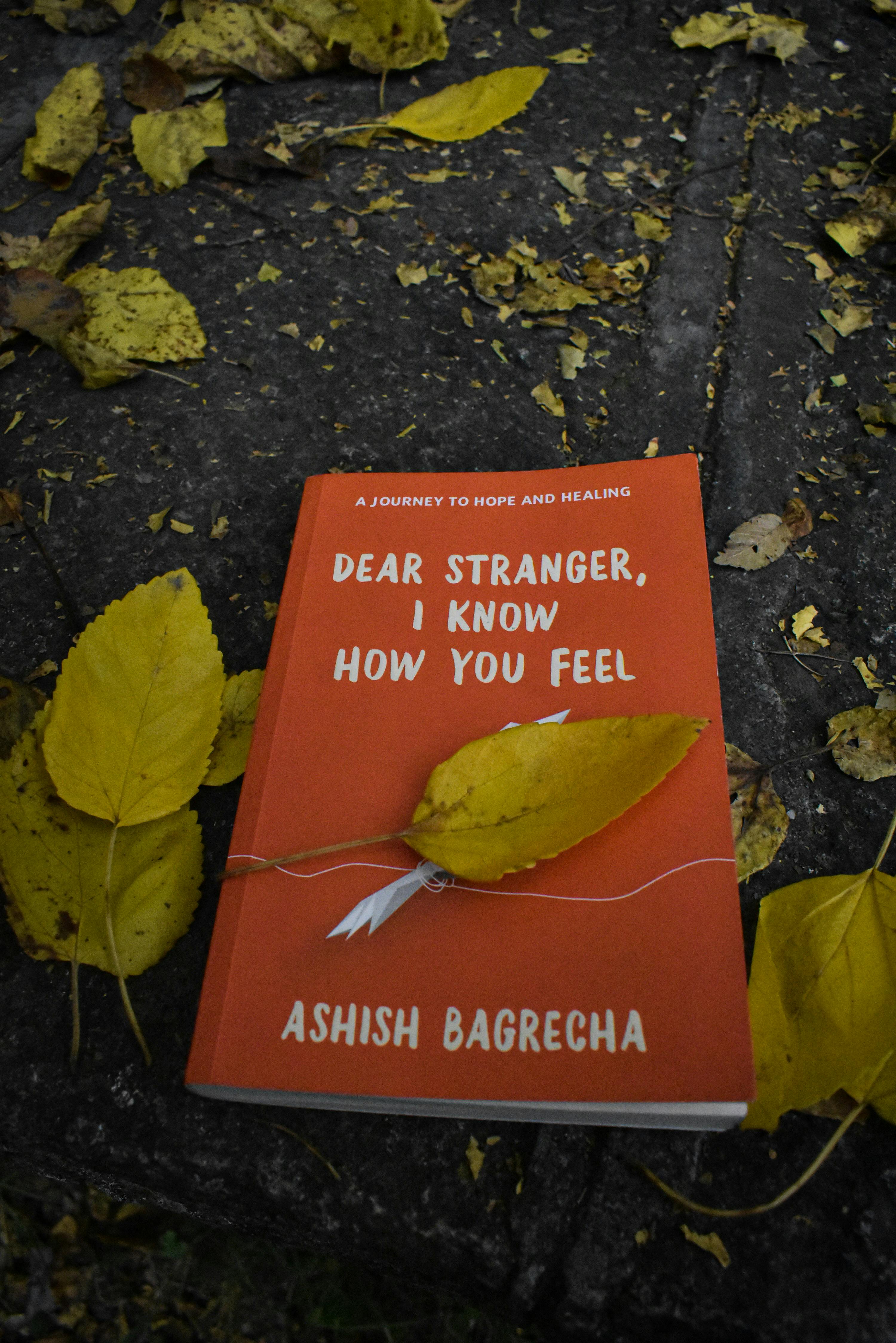 Page of a Book in a Forest · Free Stock Photo