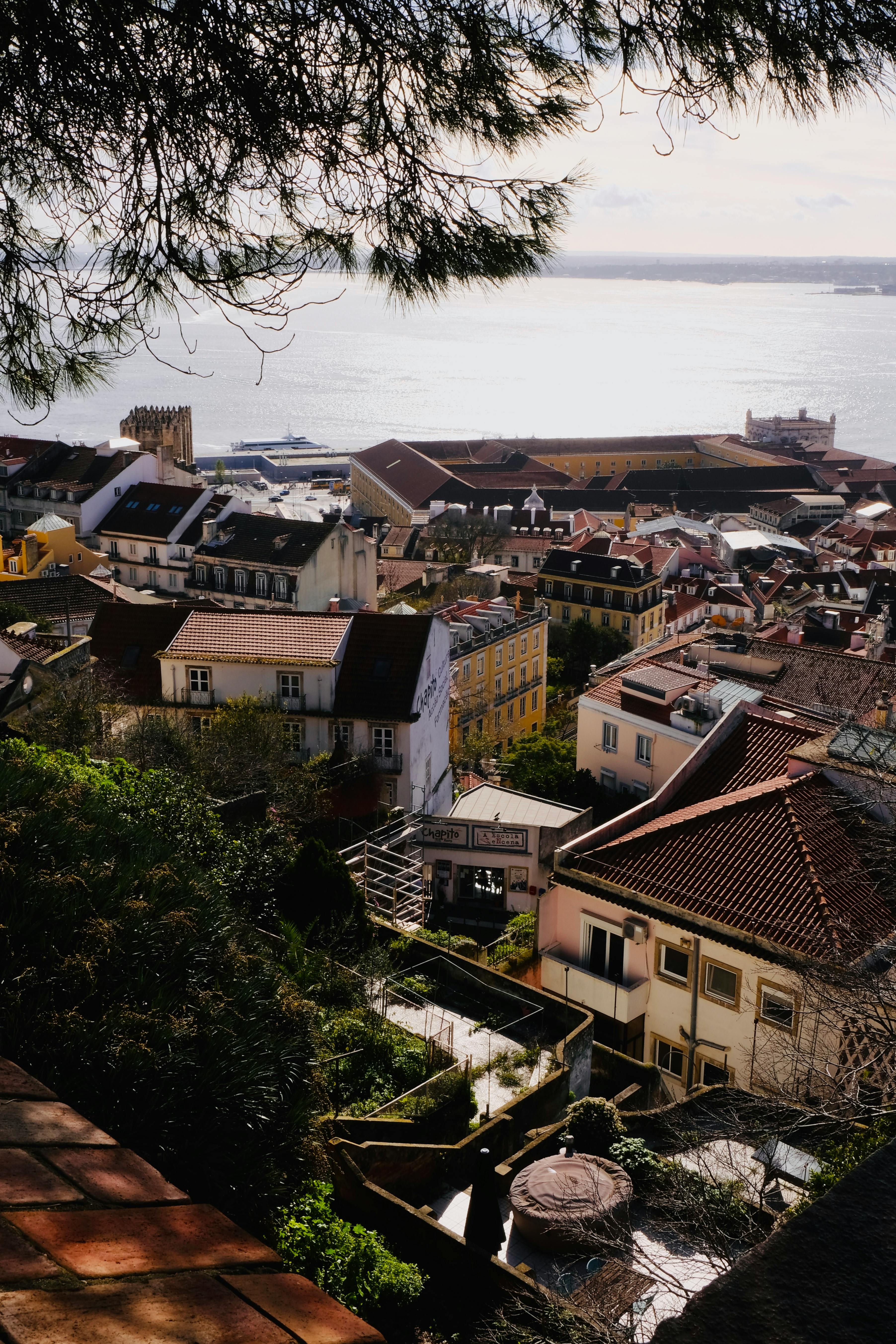 Houses Near the Sea · Free Stock Photo