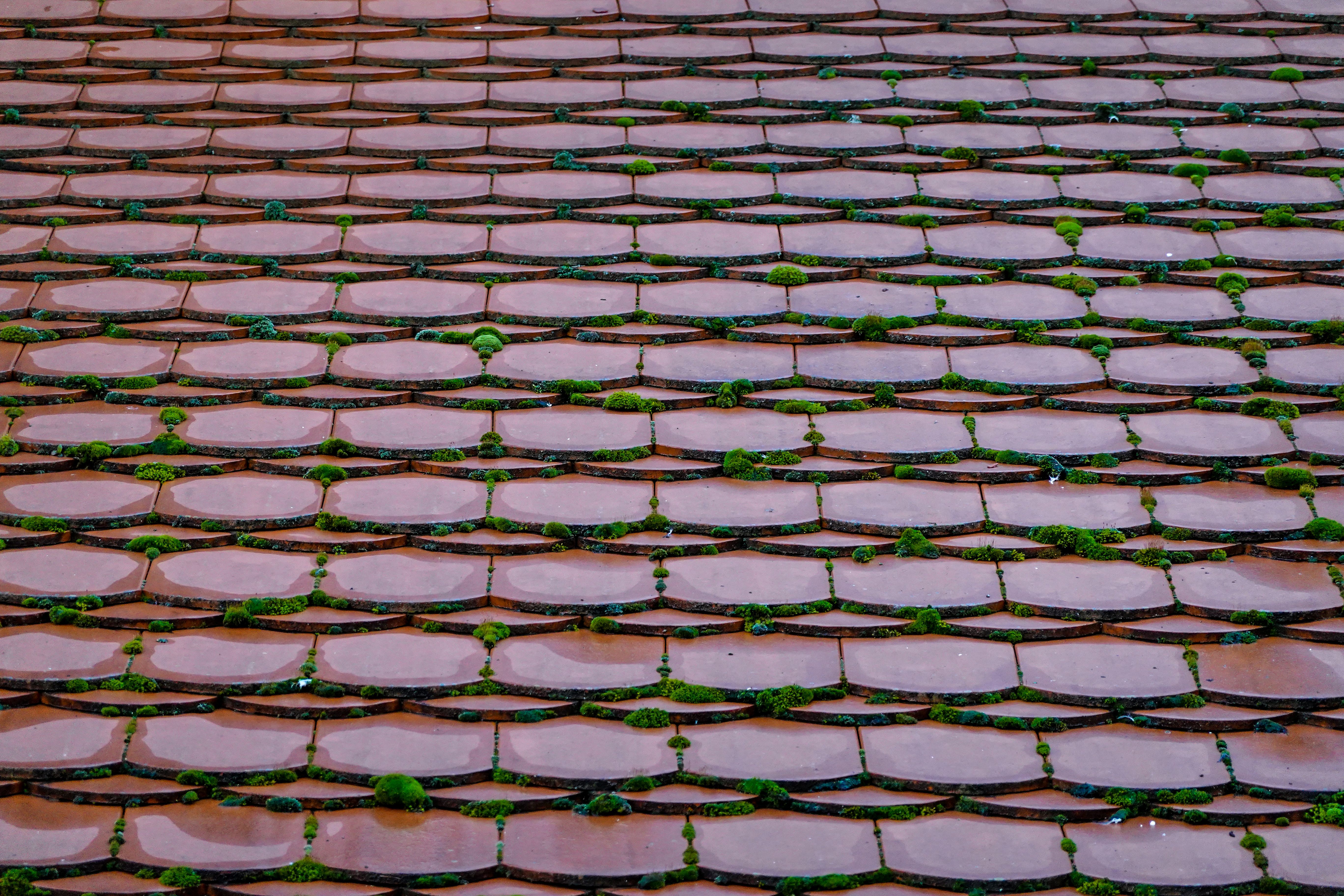 Cement Roof Tiles Photos, Download The BEST Free Cement Roof Tiles ...