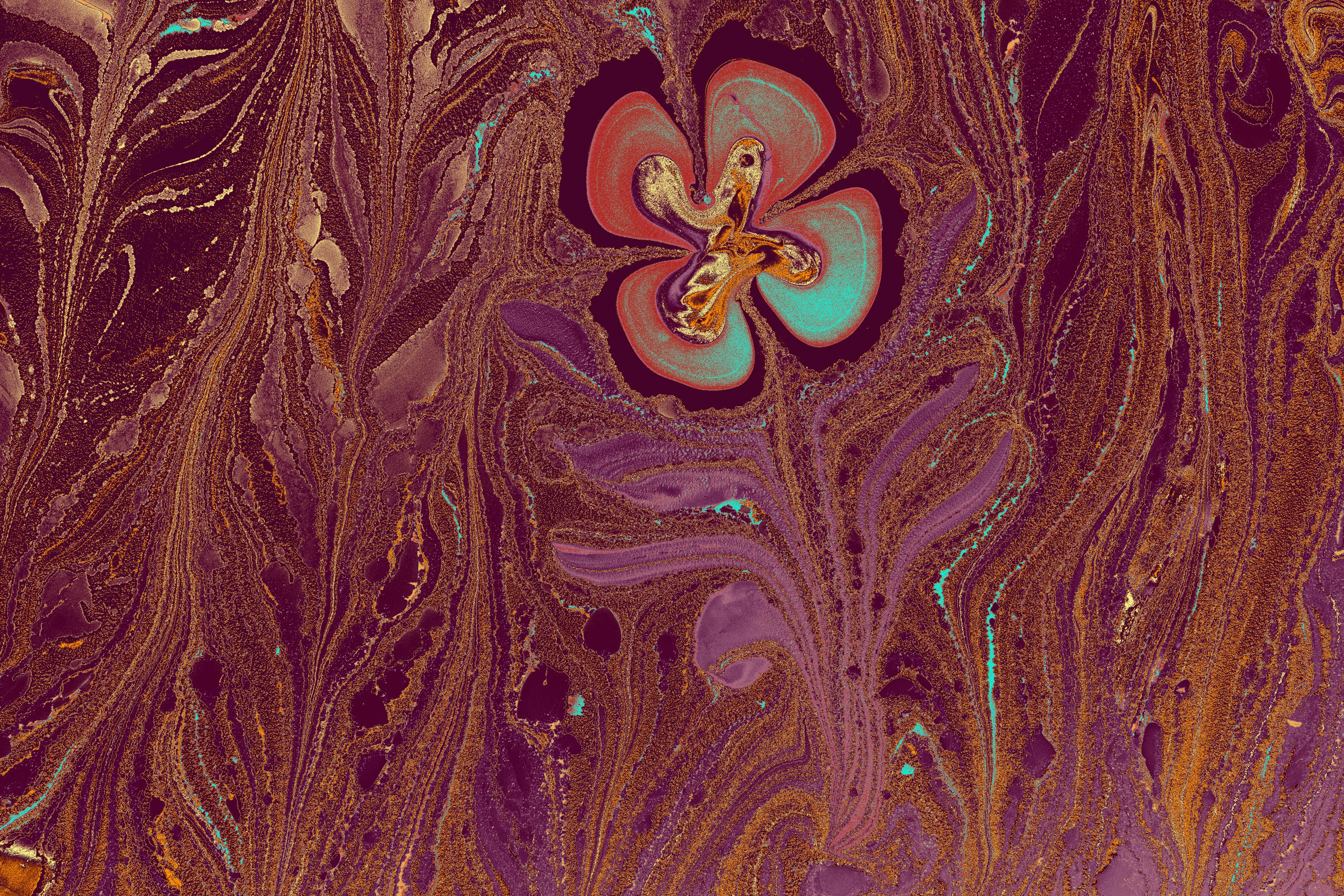 Decorative Graphic Design · Free Stock Photo