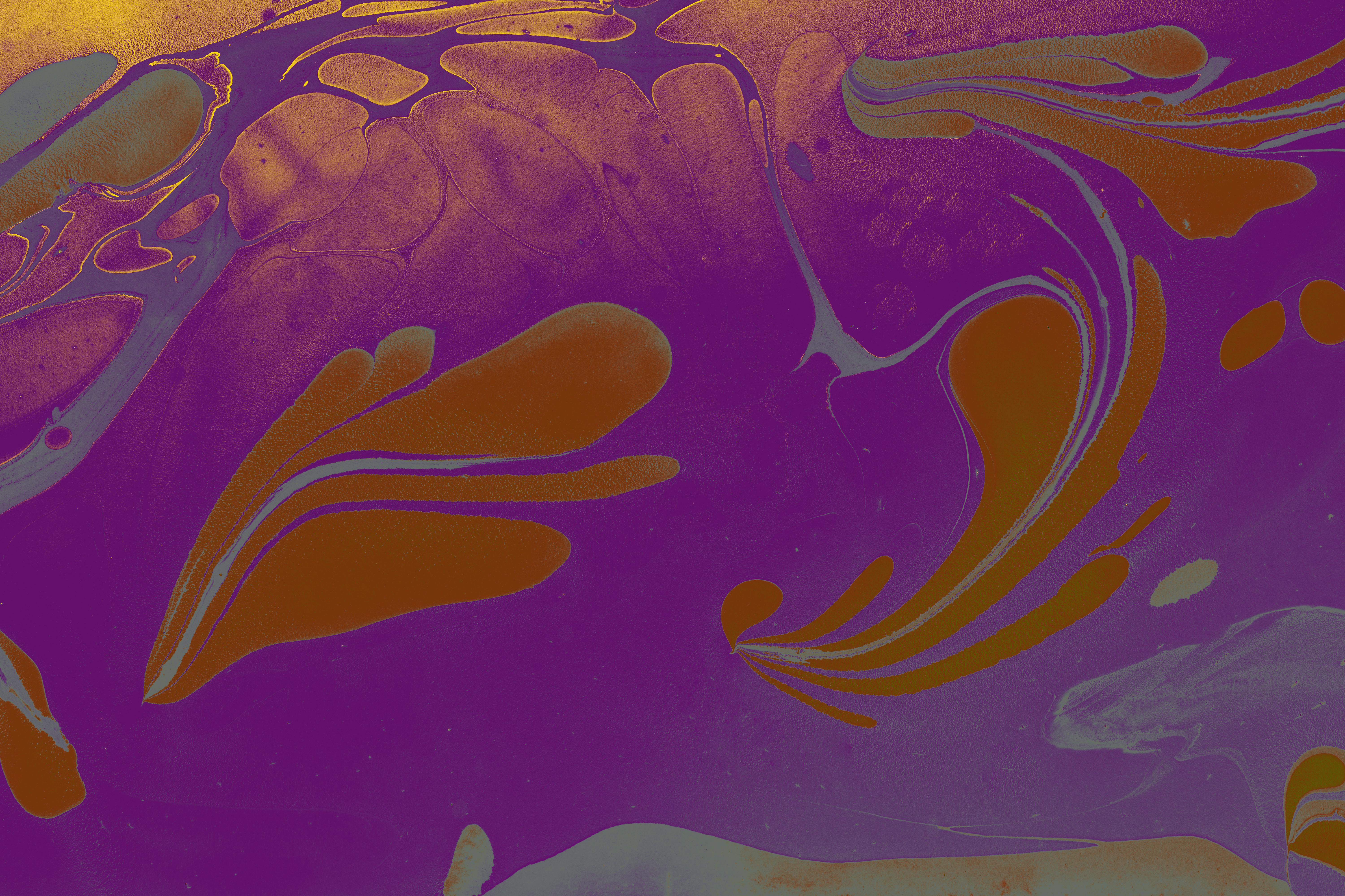 A purple and orange abstract painting with swirls · Free Stock Photo