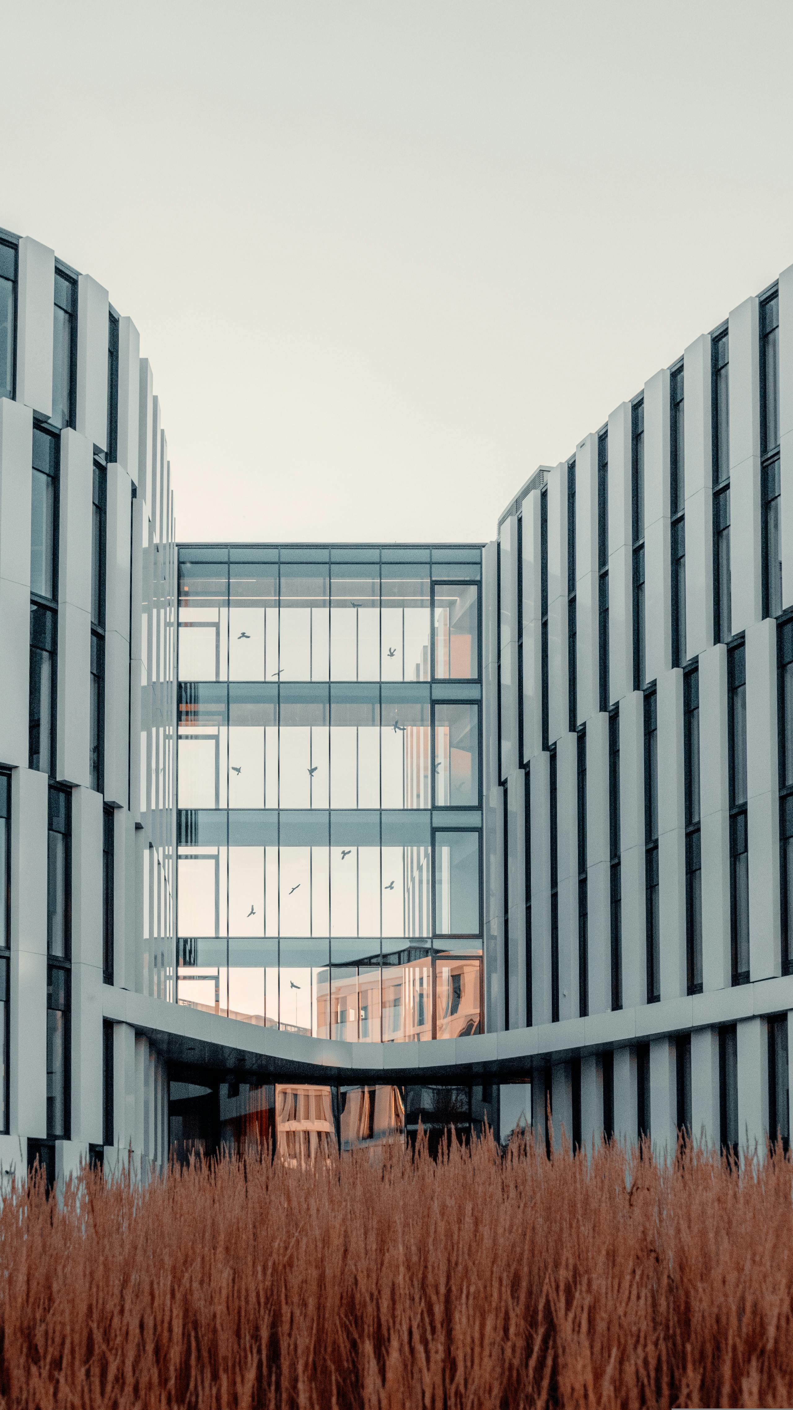 Columns and Handrails of Modern Stone Building · Free Stock Photo