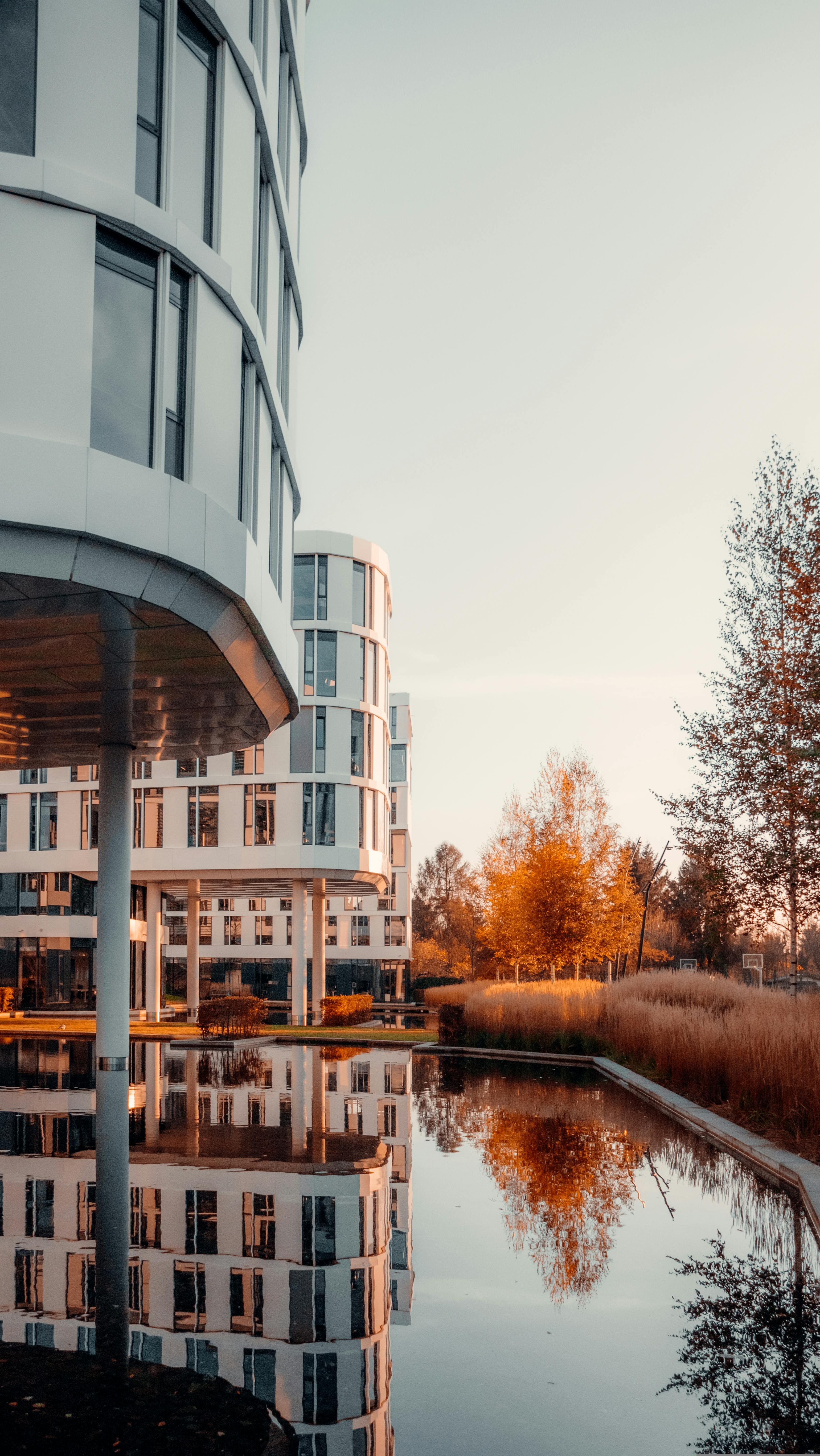 Buildings and Fall Trees Reflection in Water · Free Stock Photo
