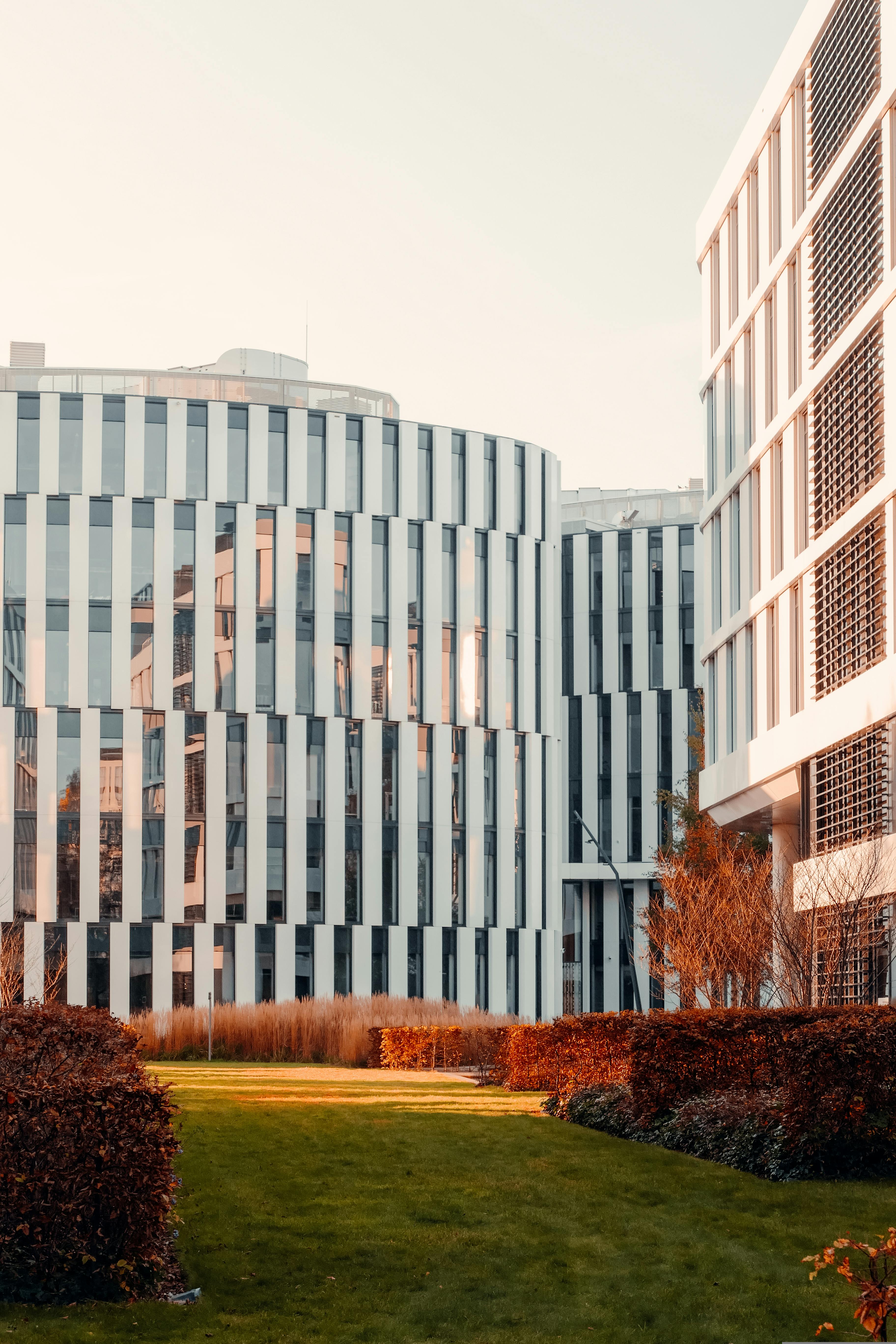 Photo of Modern Buildings in Autumn · Free Stock Photo
