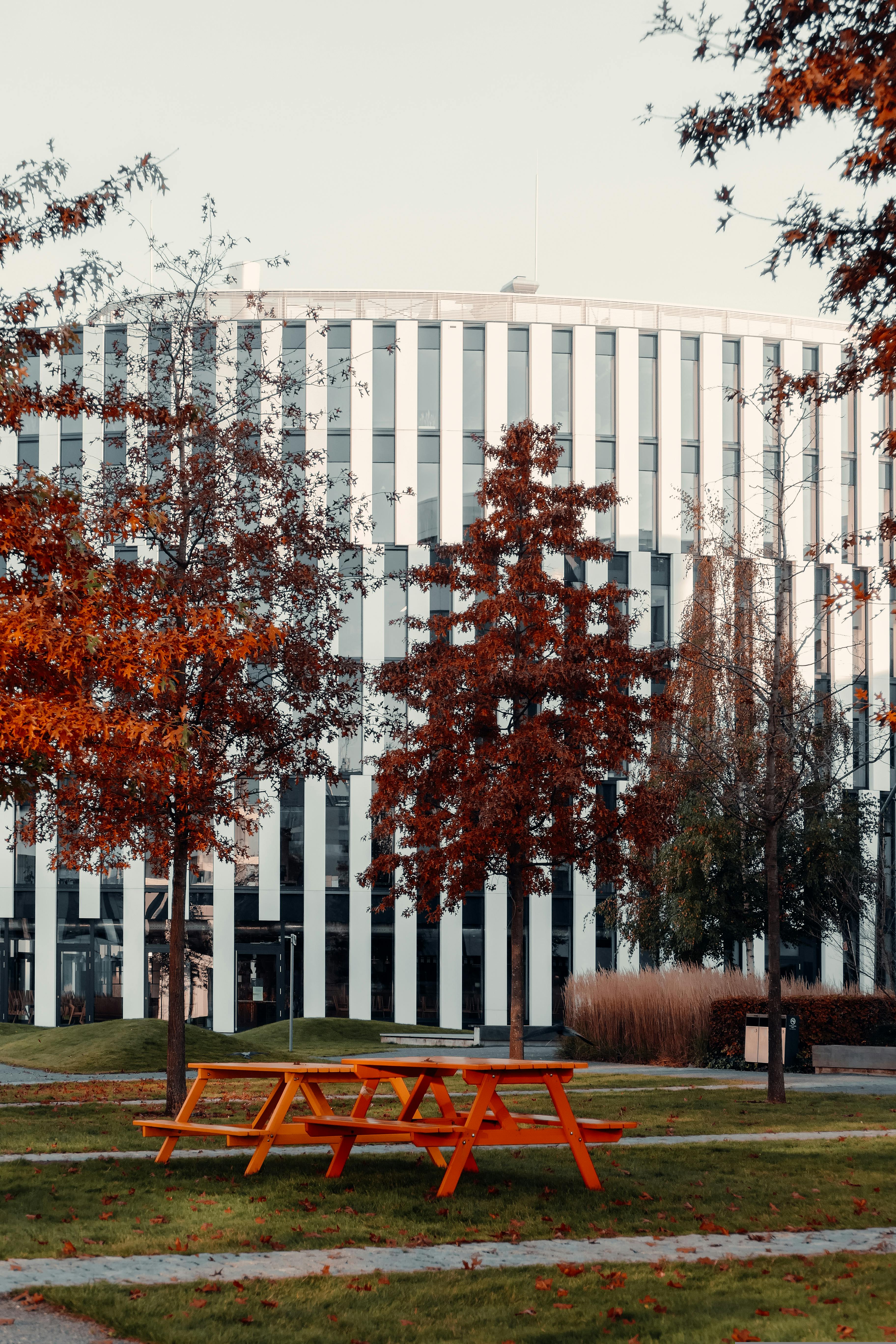 Benches in Park near Modern Geometric Building · Free Stock Photo