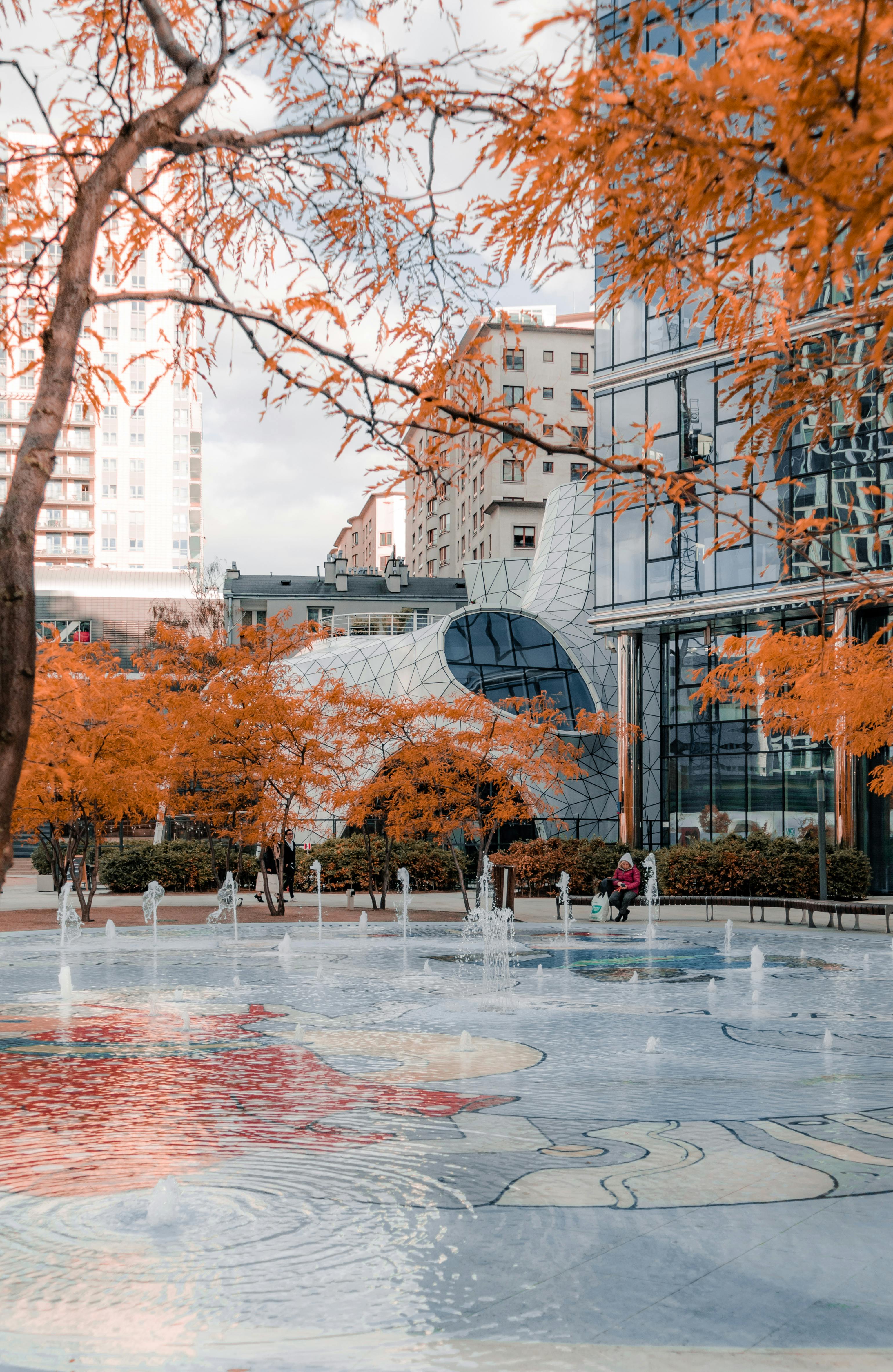 Fall City Photos, Download The BEST Free Fall City Stock Photos & HD Images