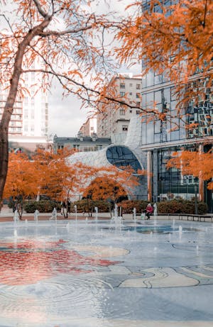 Fall City Photos, Download The BEST Free Fall City Stock Photos & HD Images