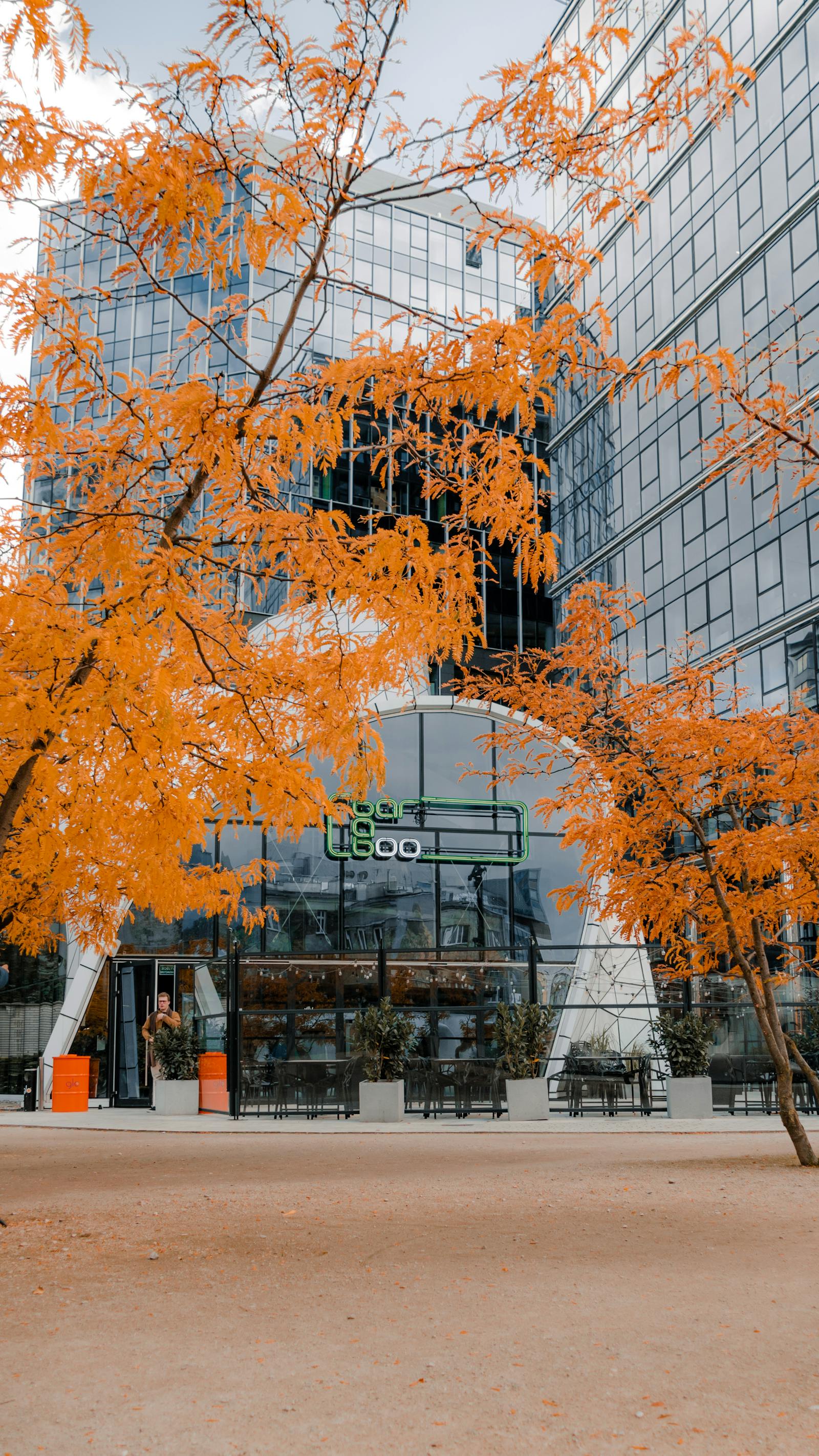 Fall City Photos, Download The BEST Free Fall City Stock Photos & HD Images