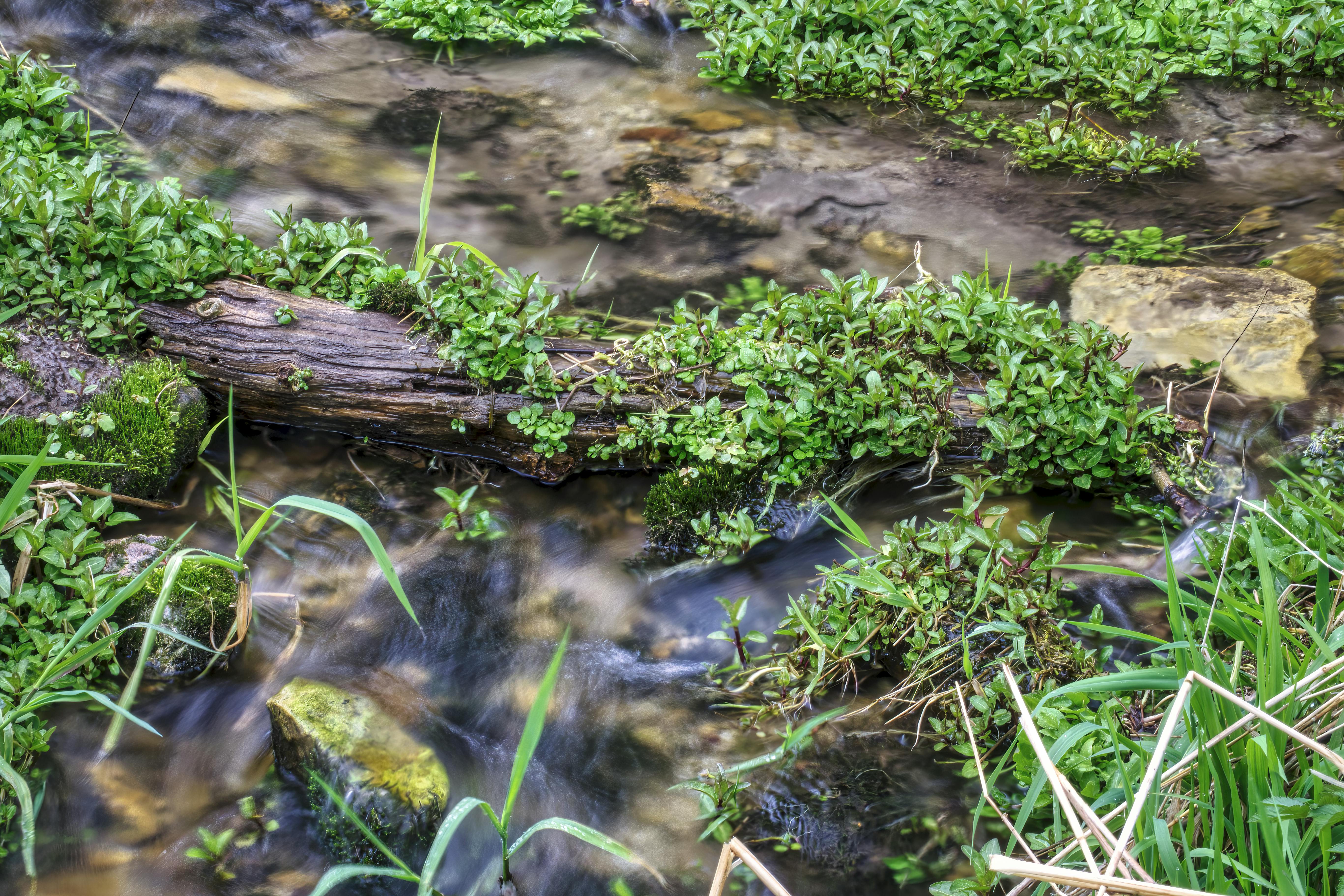 Body of Water and Green Field Under Blue Sky Photo · Free Stock Photo