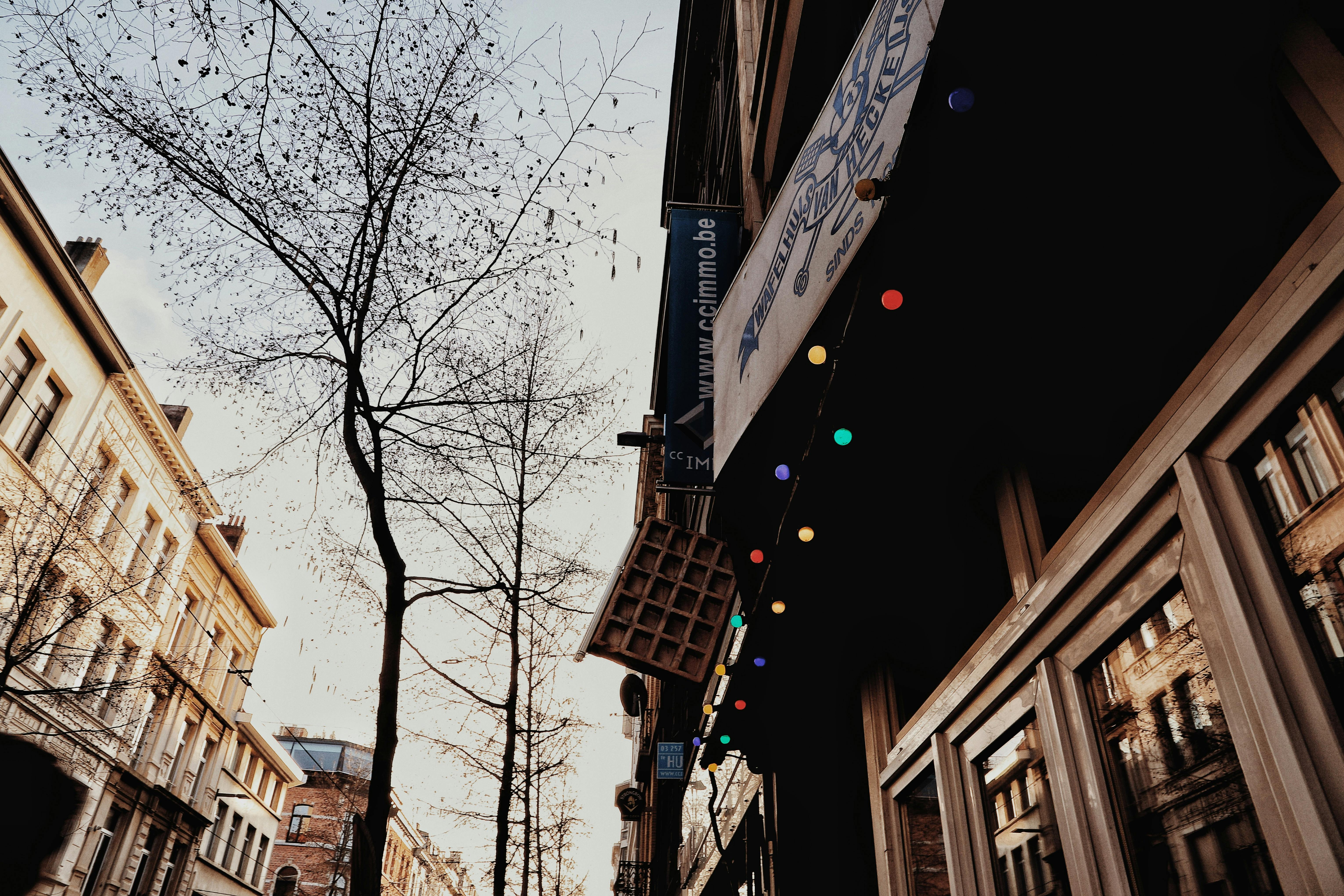 Mulit Colored Lights above Building Entrance · Free Stock Photo