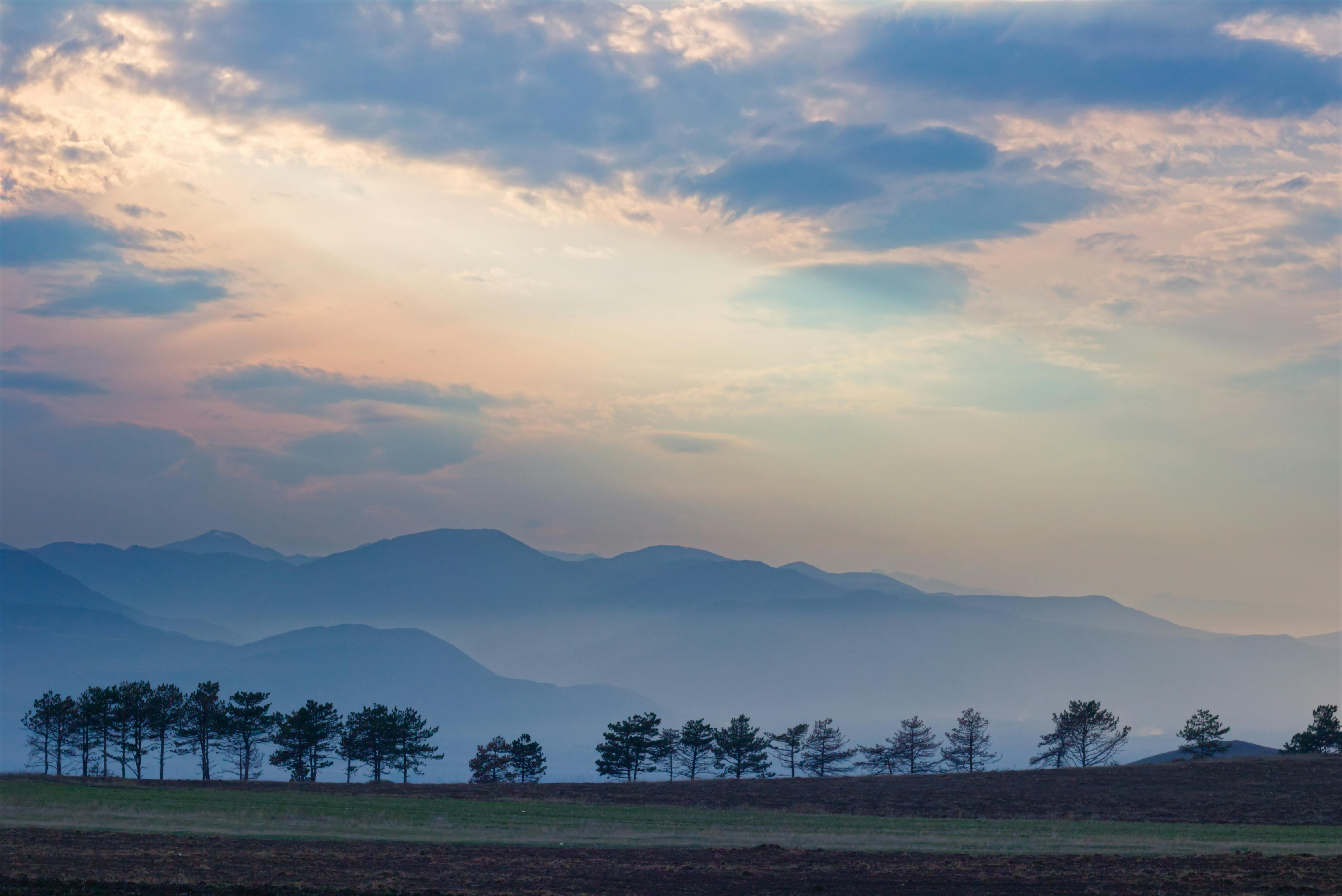 Landscape with Trees and Mountains in Mist · Free Stock Photo