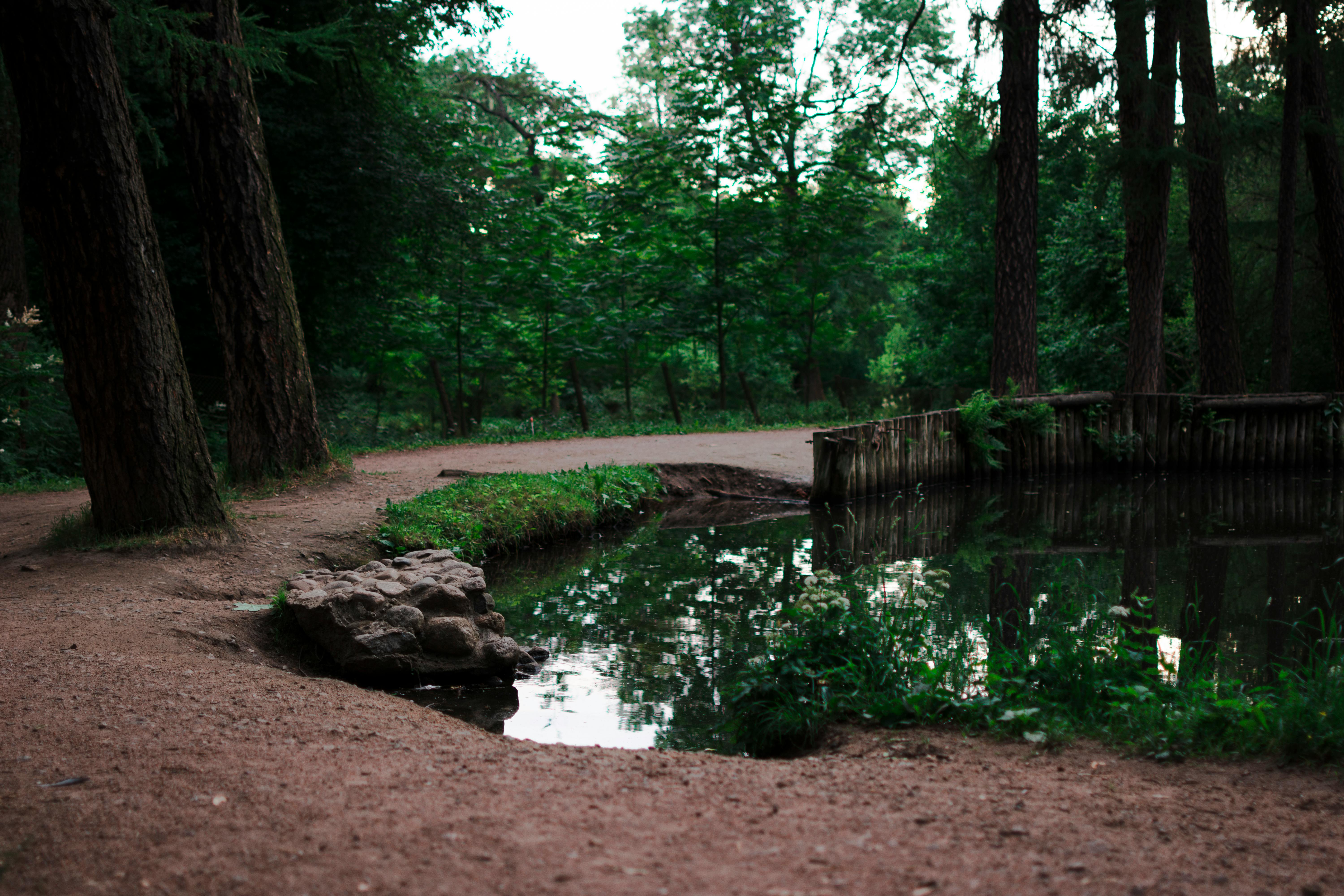 Secret Pathway Photos, Download The BEST Free Secret Pathway Stock ...