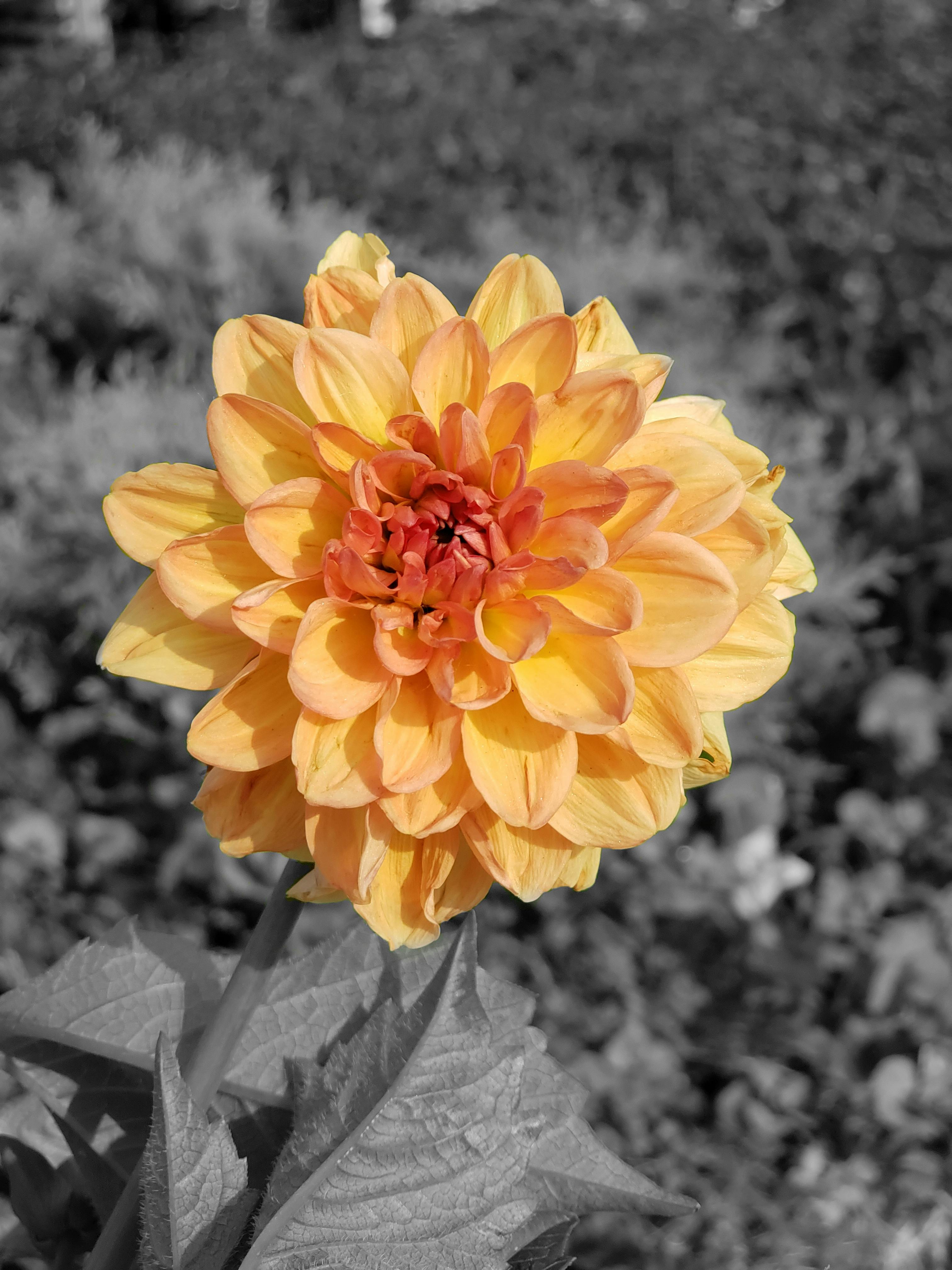 Ricardo Olvera - 사진