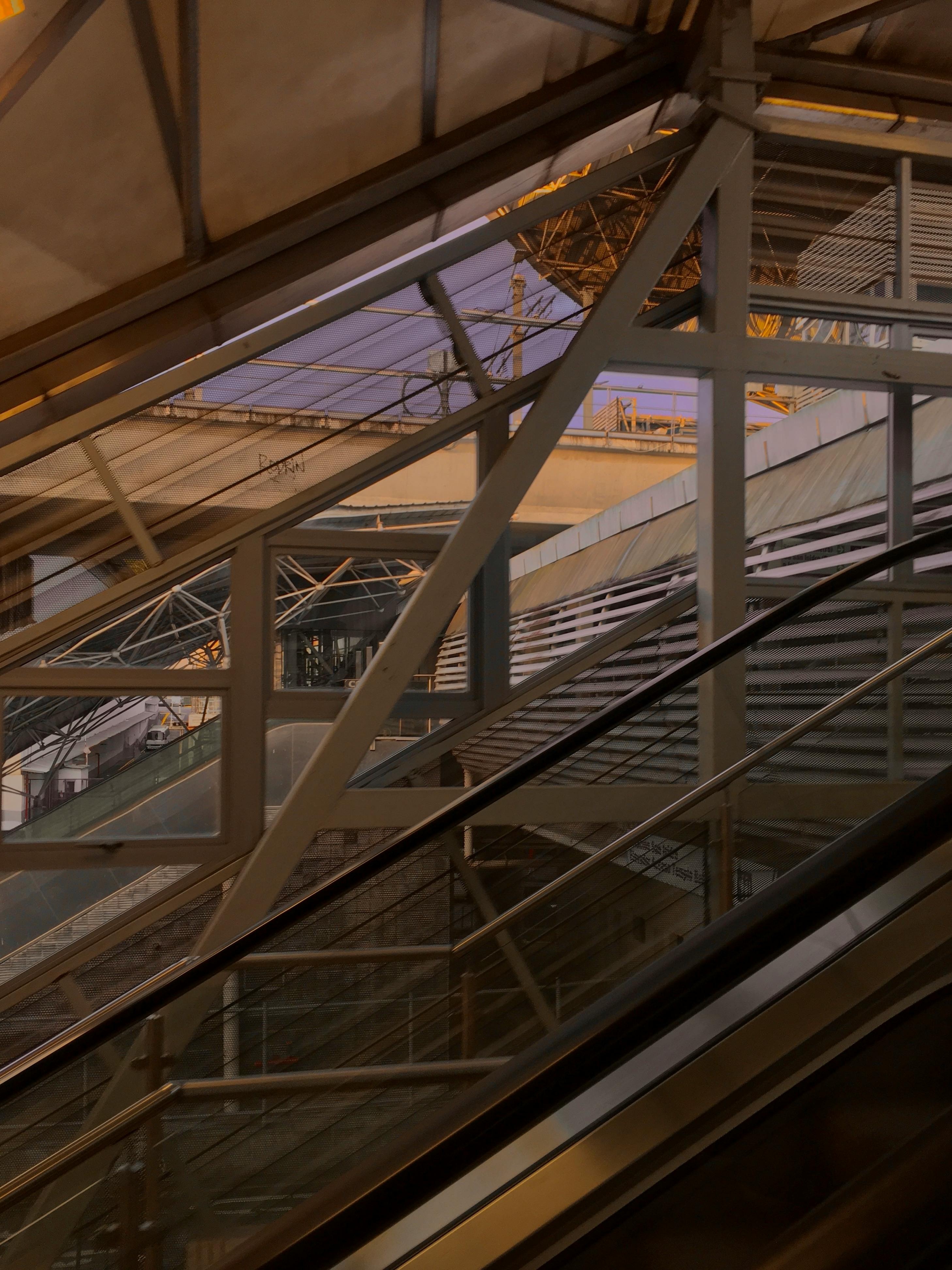 Escalators in a Building · Free Stock Photo