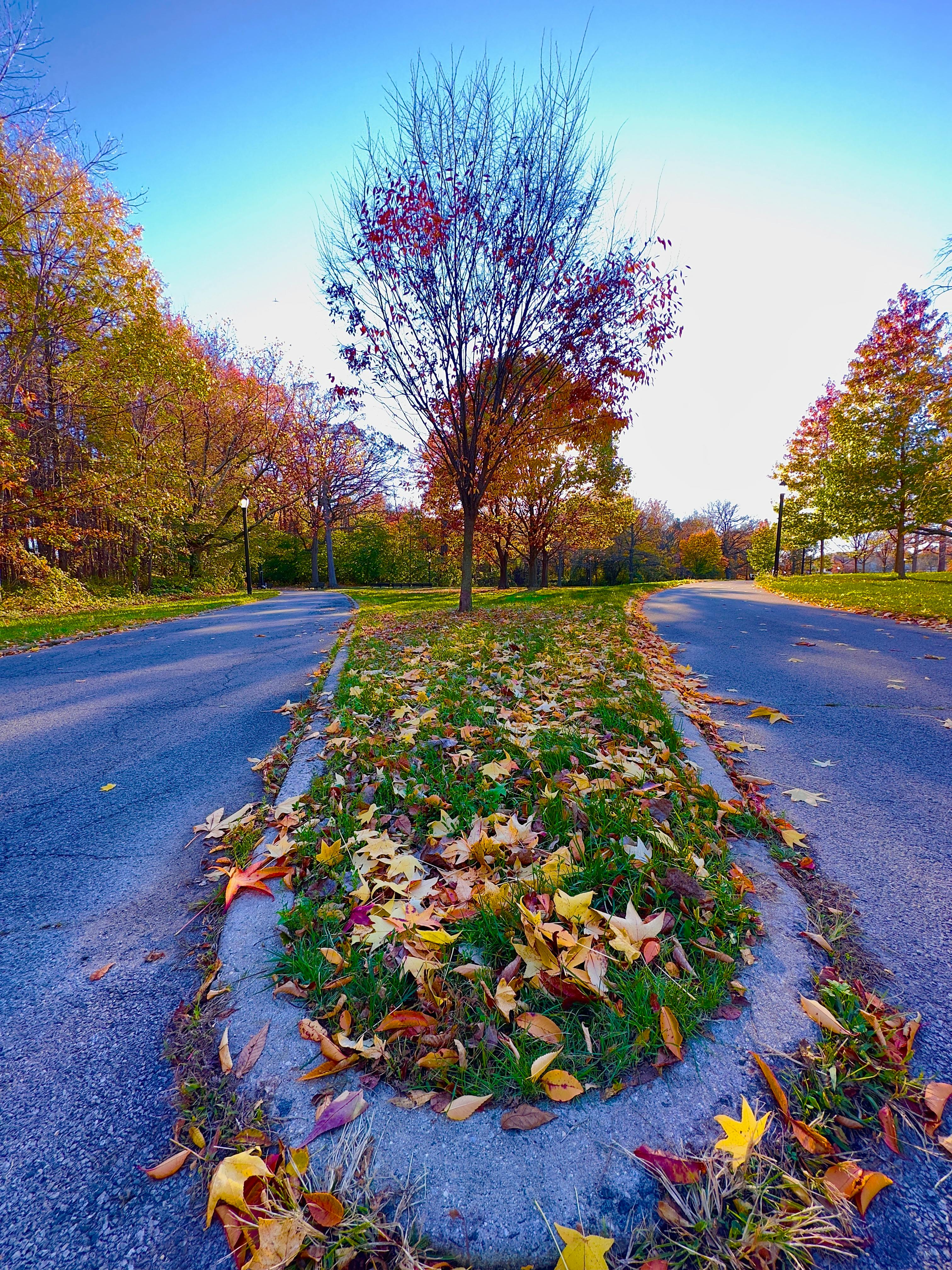 Fa BLue - Photography