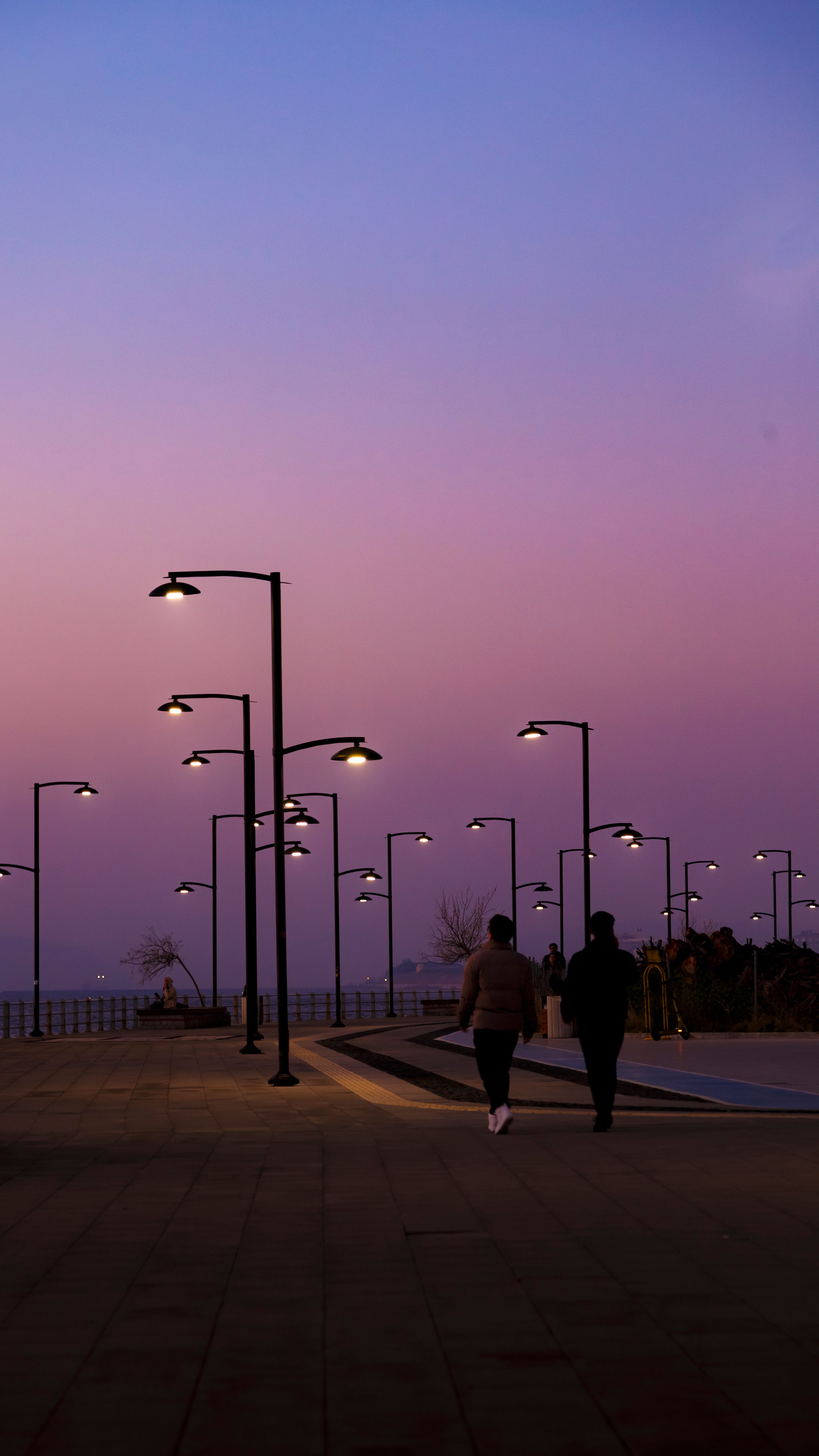 Streetlights at Dusk · Free Stock Photo