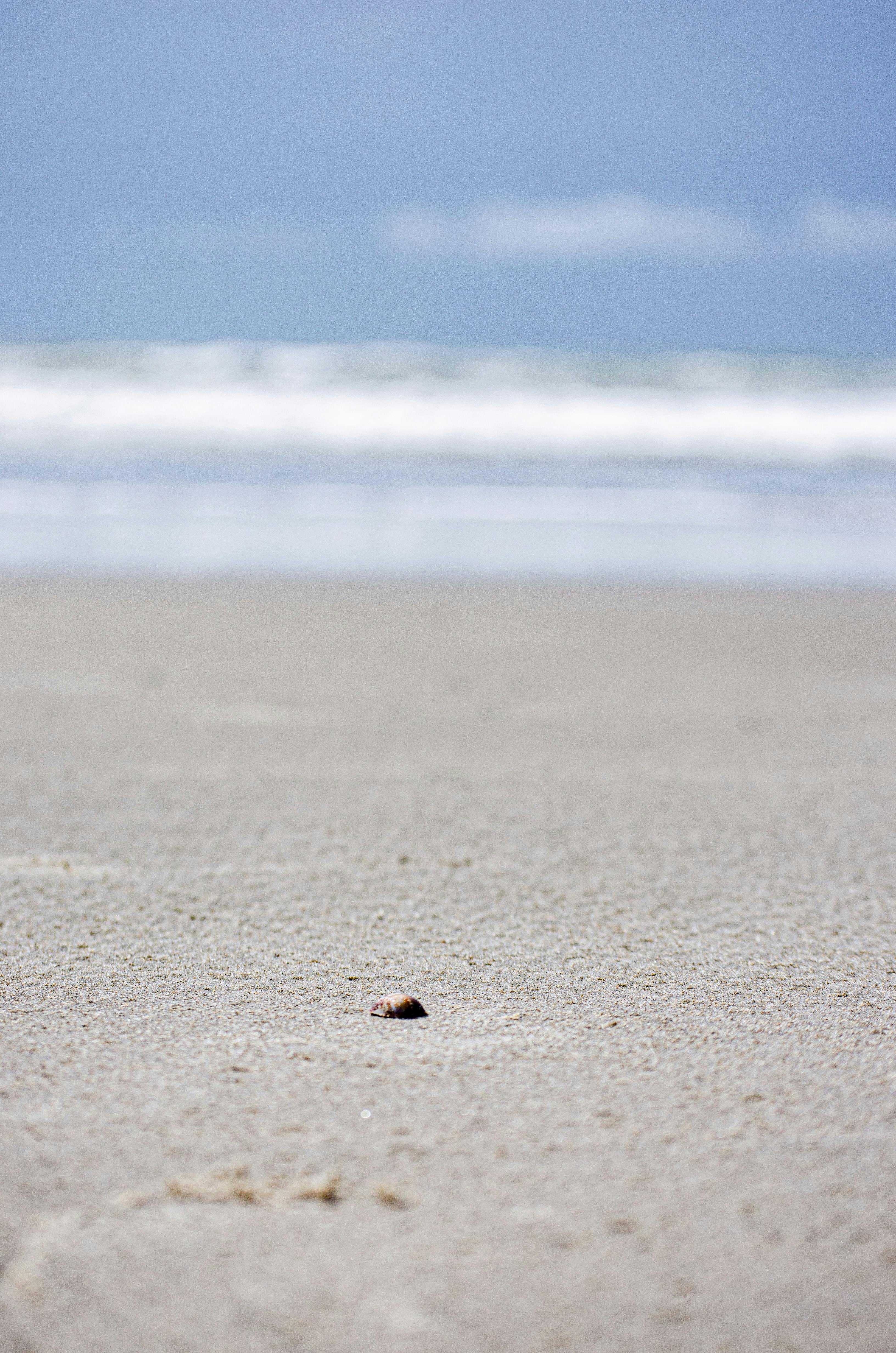 Pebble on Beach · Free Stock Photo