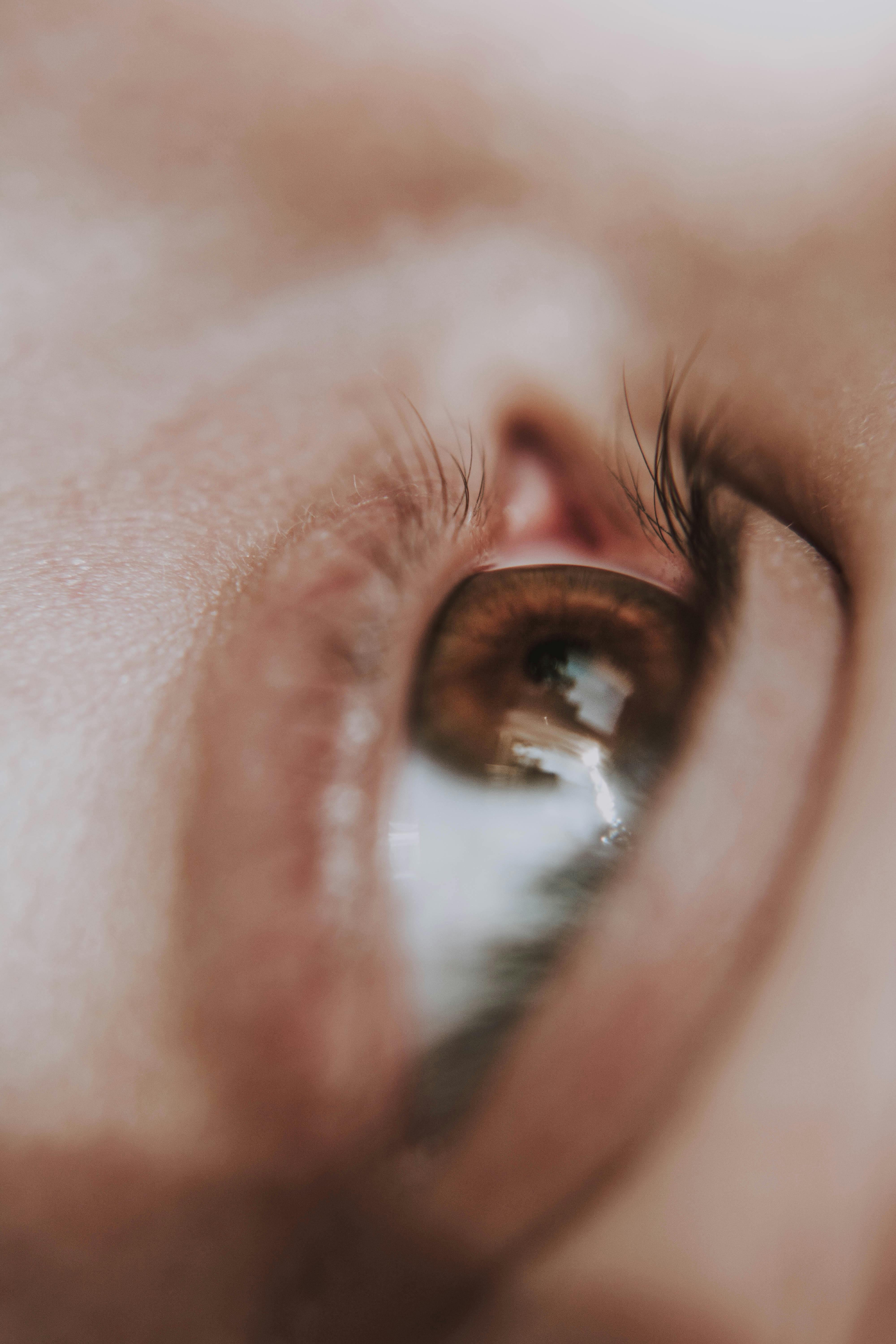 Human Eye · Free Stock Photo