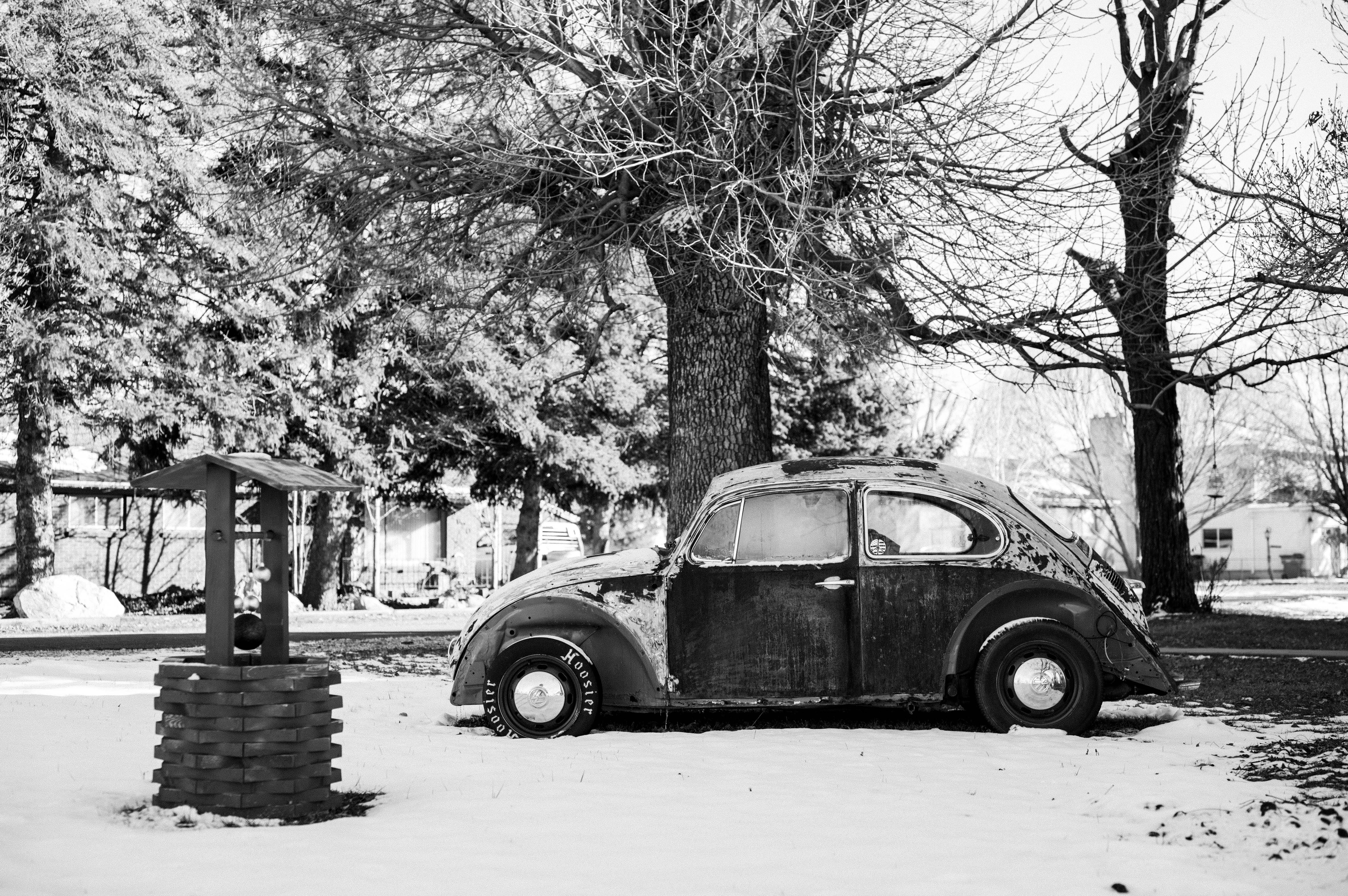 Snow around Volkswagen Beetle · Free Stock Photo