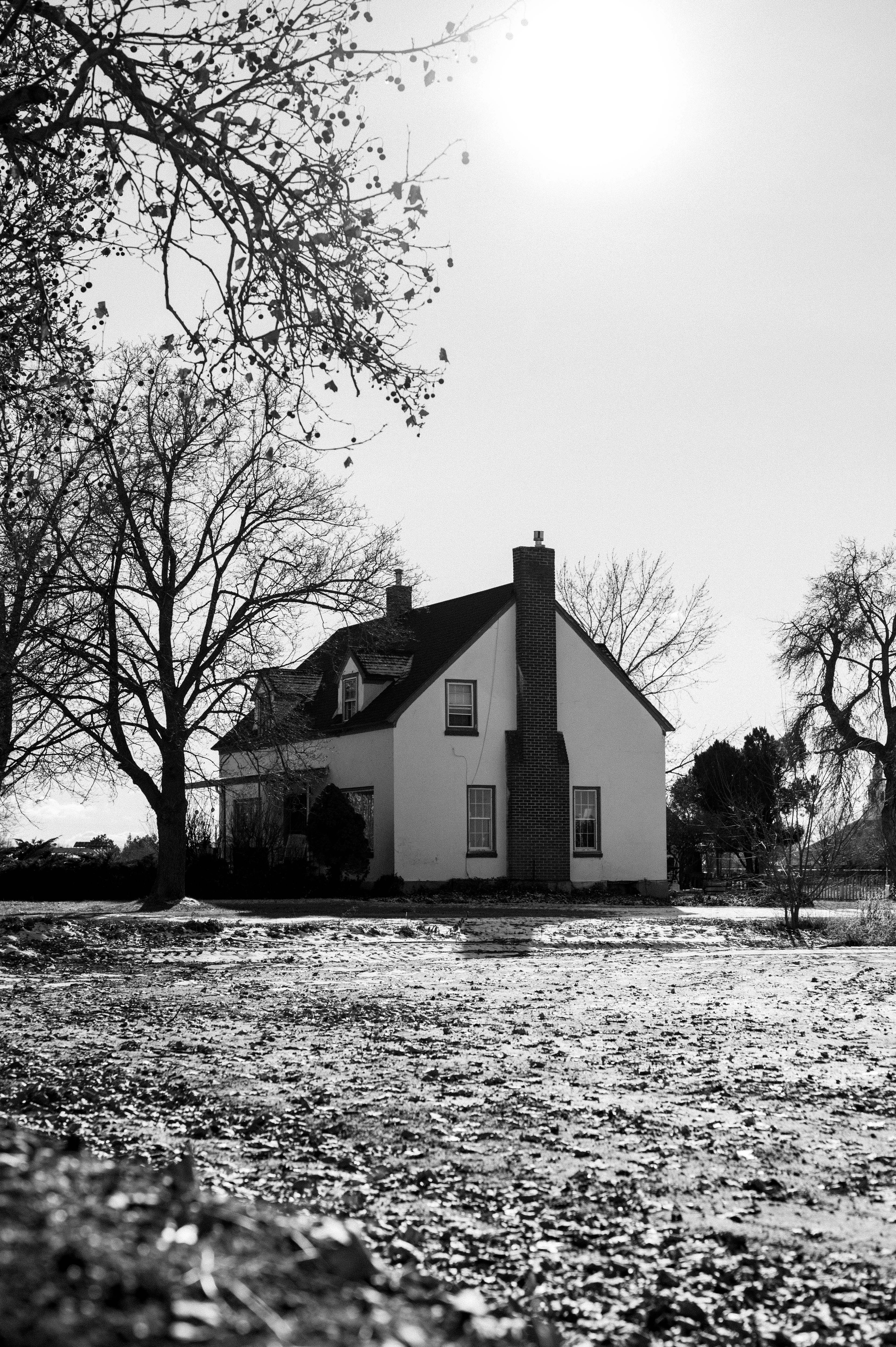 House Beside Trees · Free Stock Photo