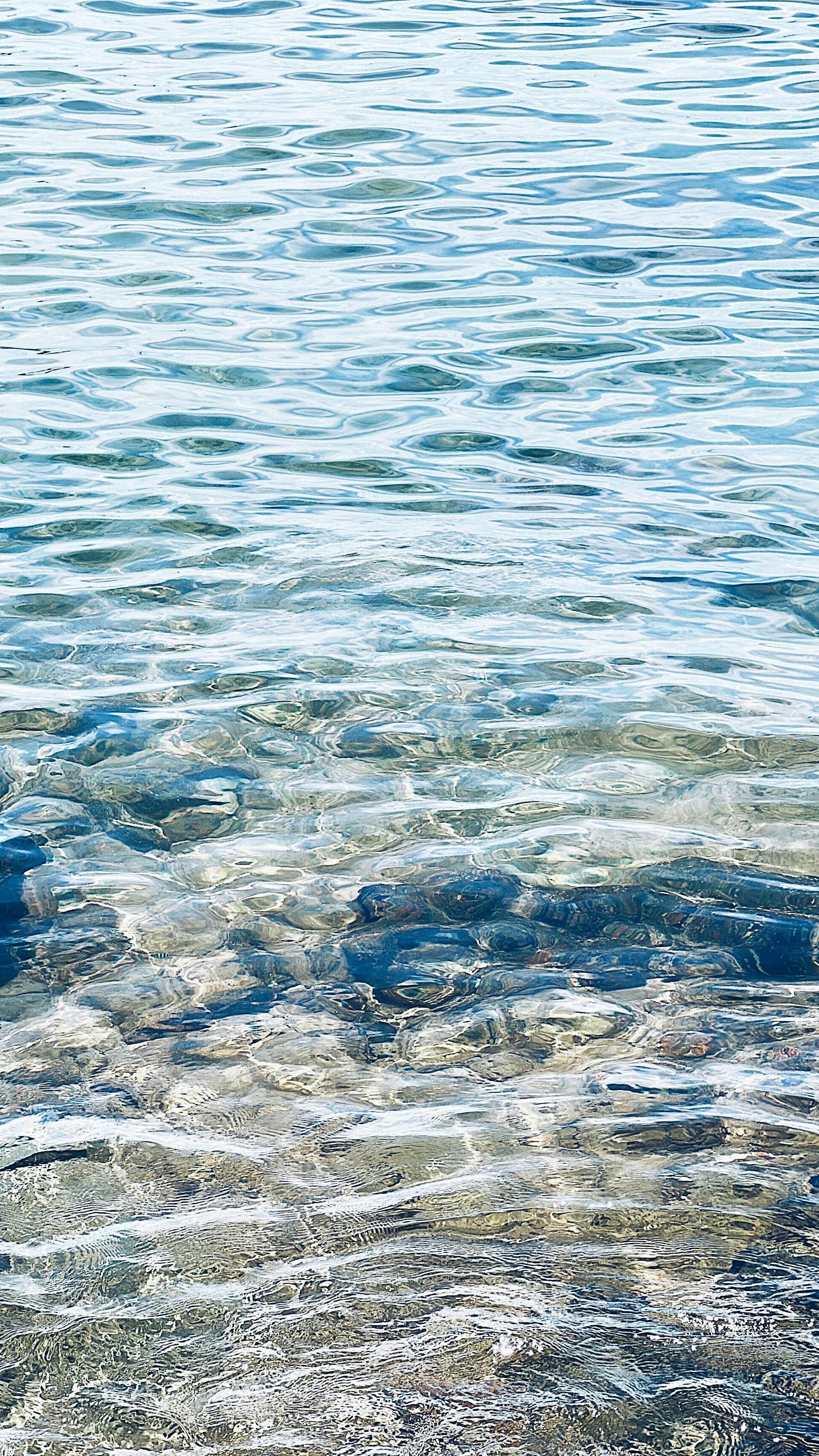 Stones under Shallow Water on Shore · Free Stock Photo