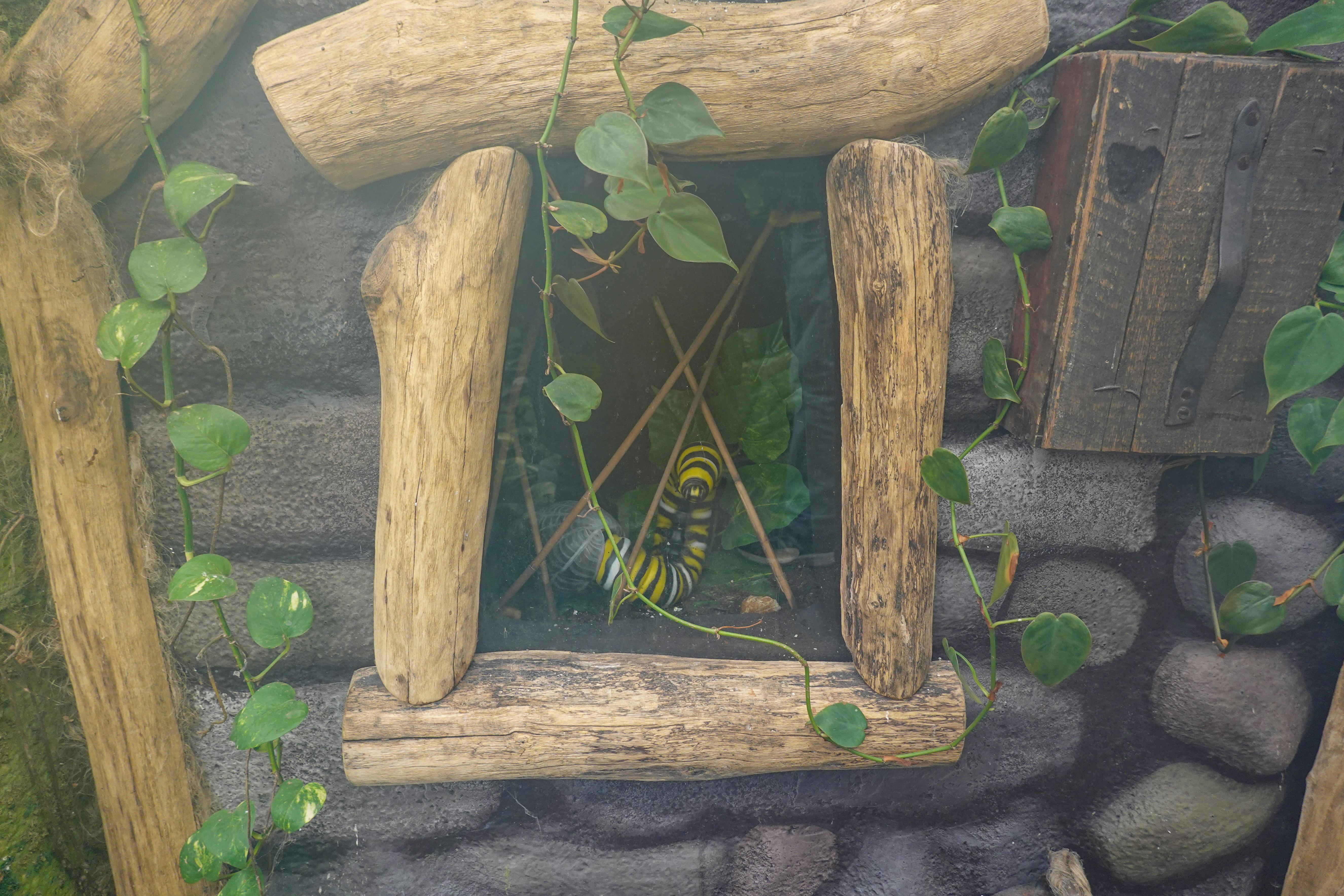 Anime Hut Photos, Download The BEST Free Anime Hut Stock Photos & HD Images