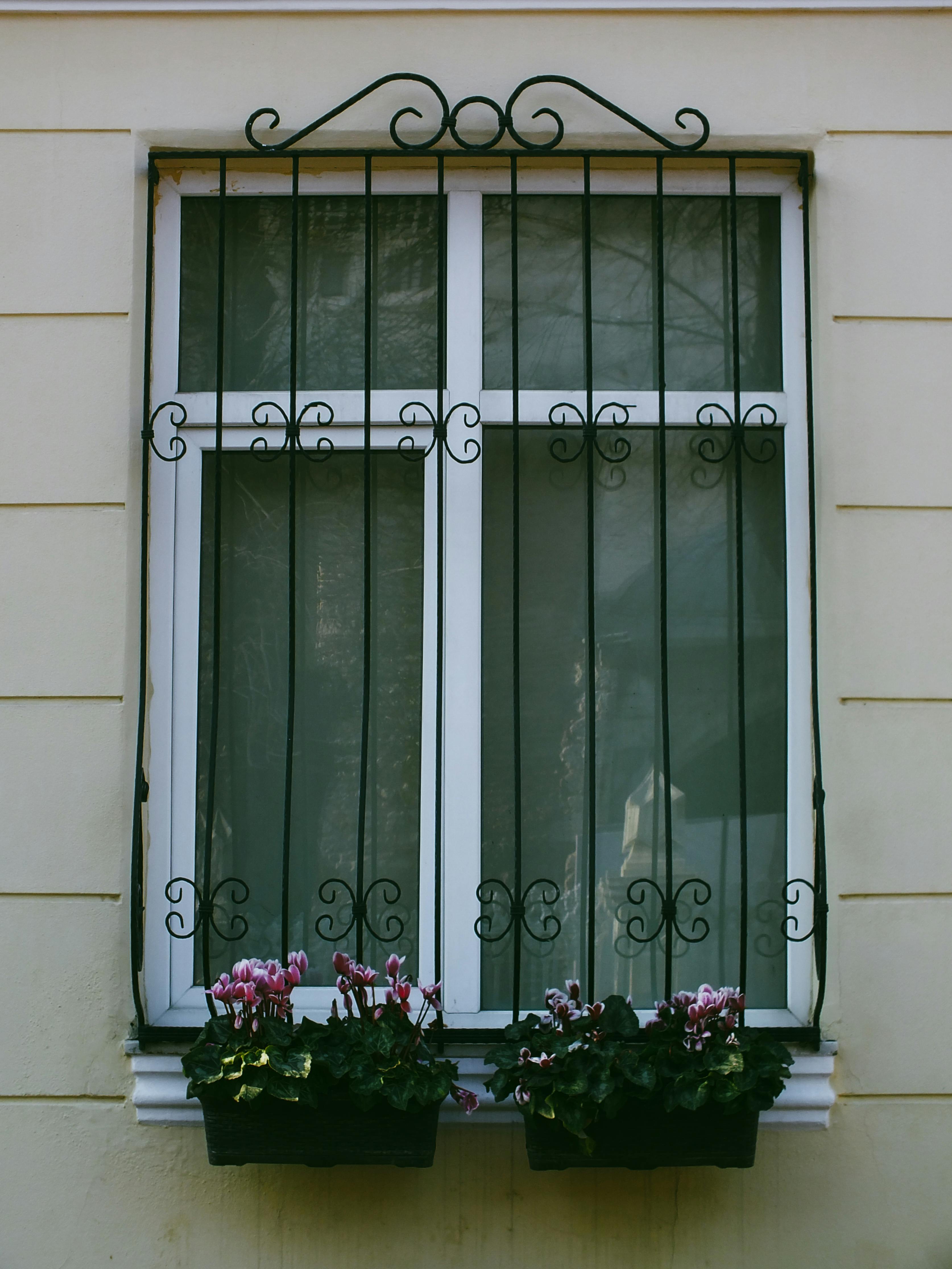 Photo of Windows with Flowers · Free Stock Photo