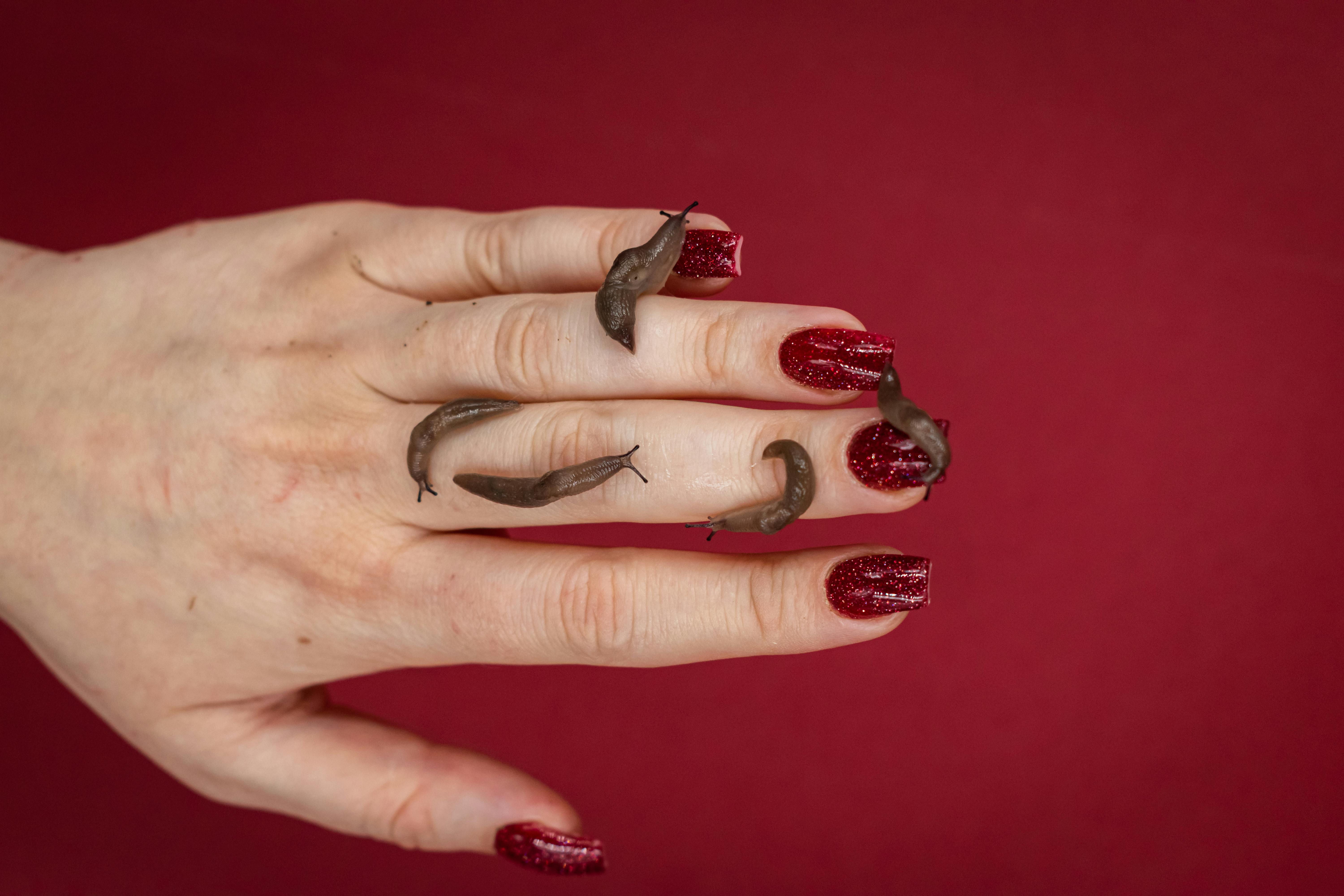 Snails on Woman Hand · Free Stock Photo