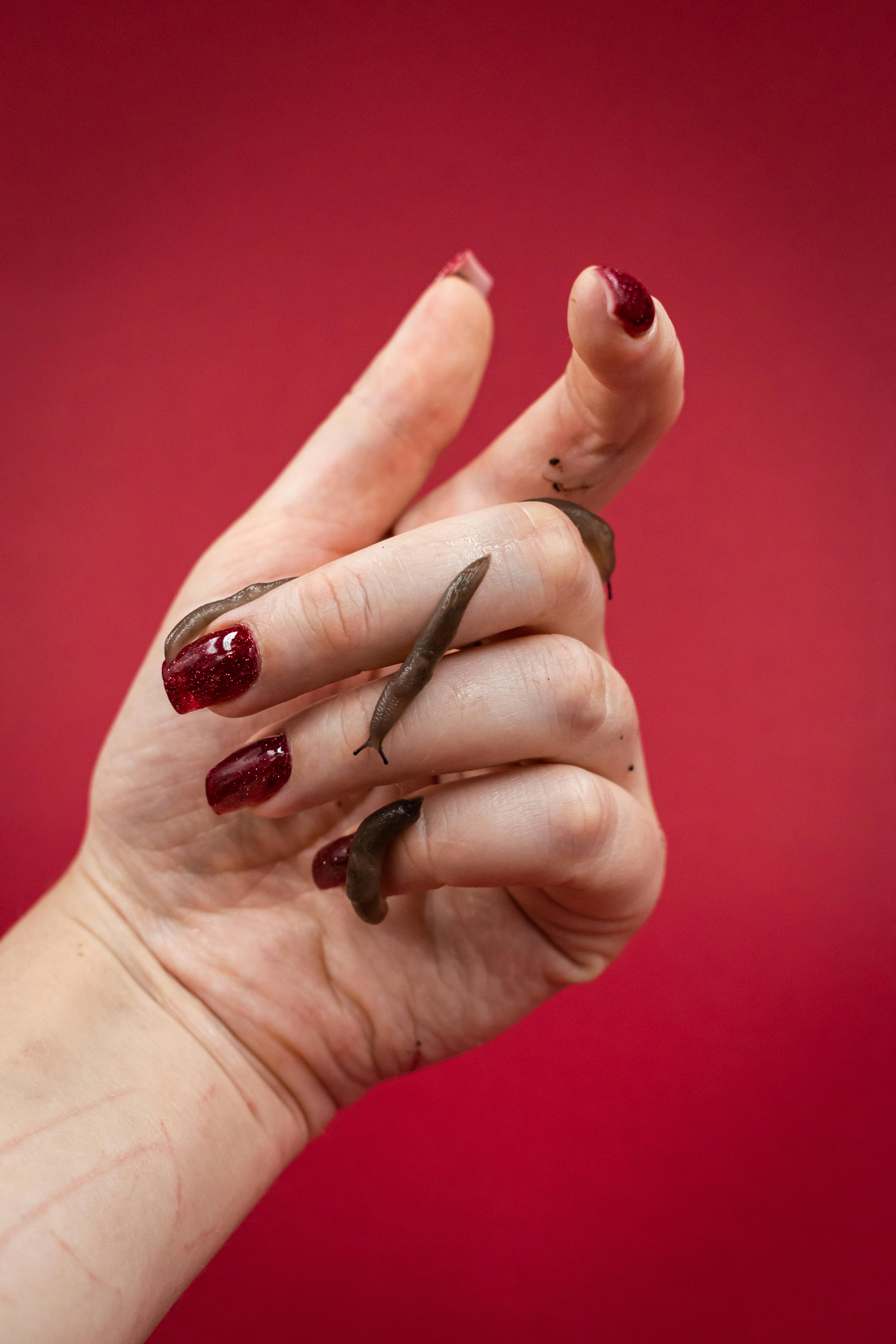 Slugs on Womans Palm · Free Stock Photo