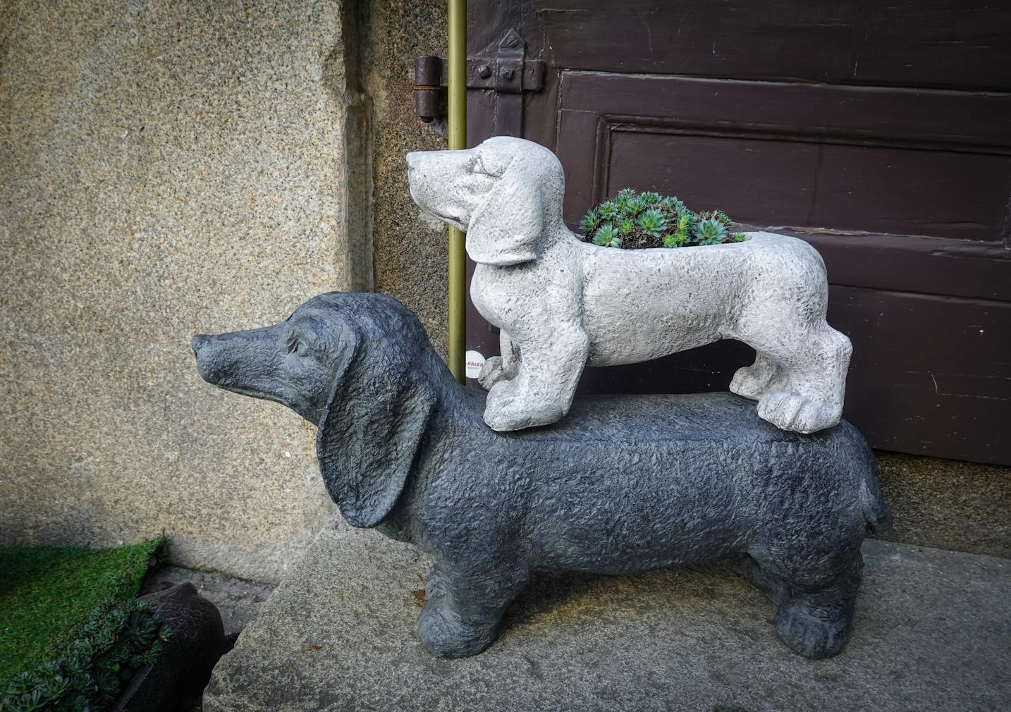 Xoloitzcuintli Aztec Art: Ancient Mexican Canine Iconography