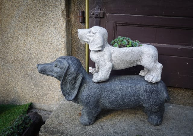 Xoloitzcuintli Aztec Art: Ancient Mexican Canine Iconography