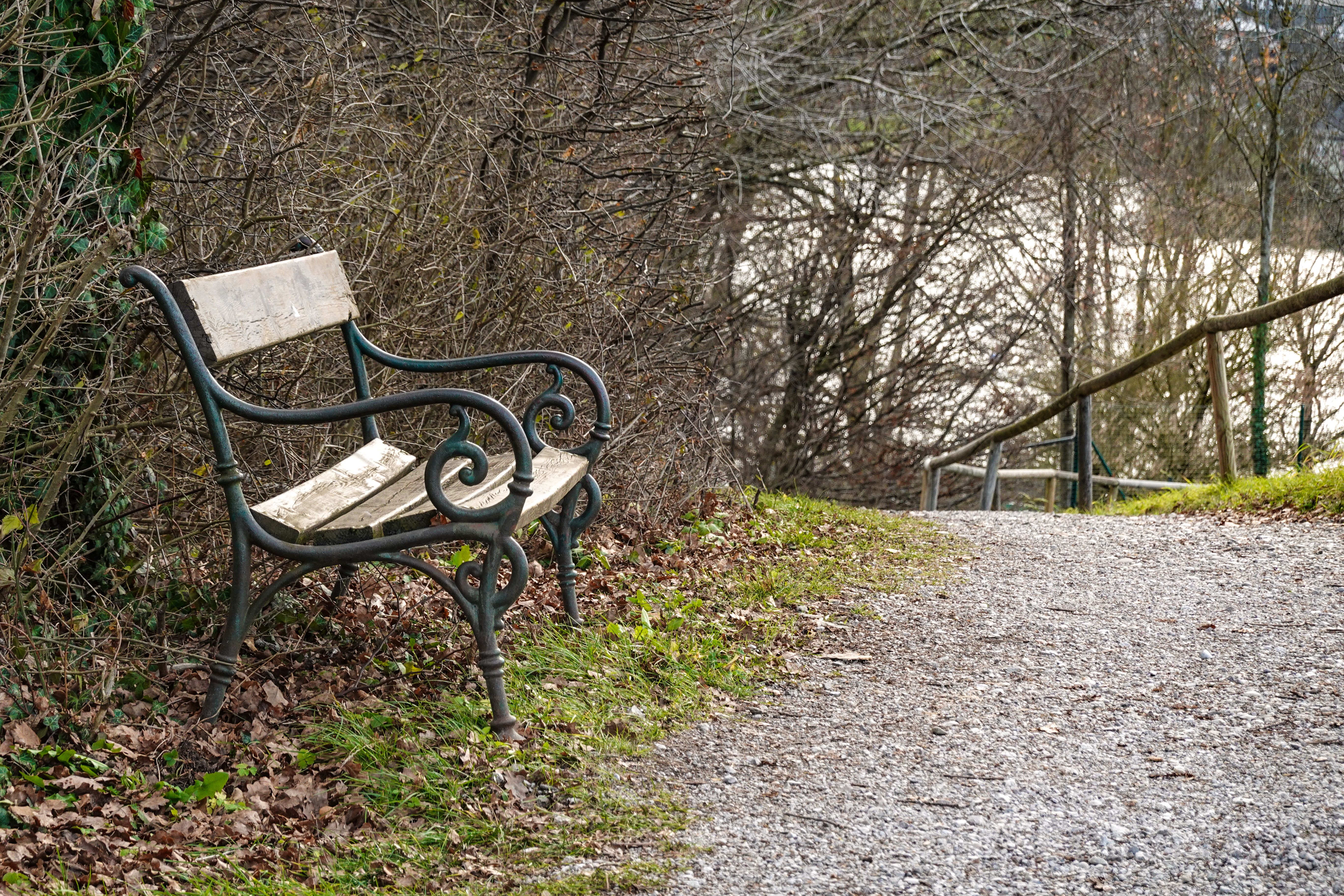 A Bench next to a Pathway in a Park · Free Stock Photo