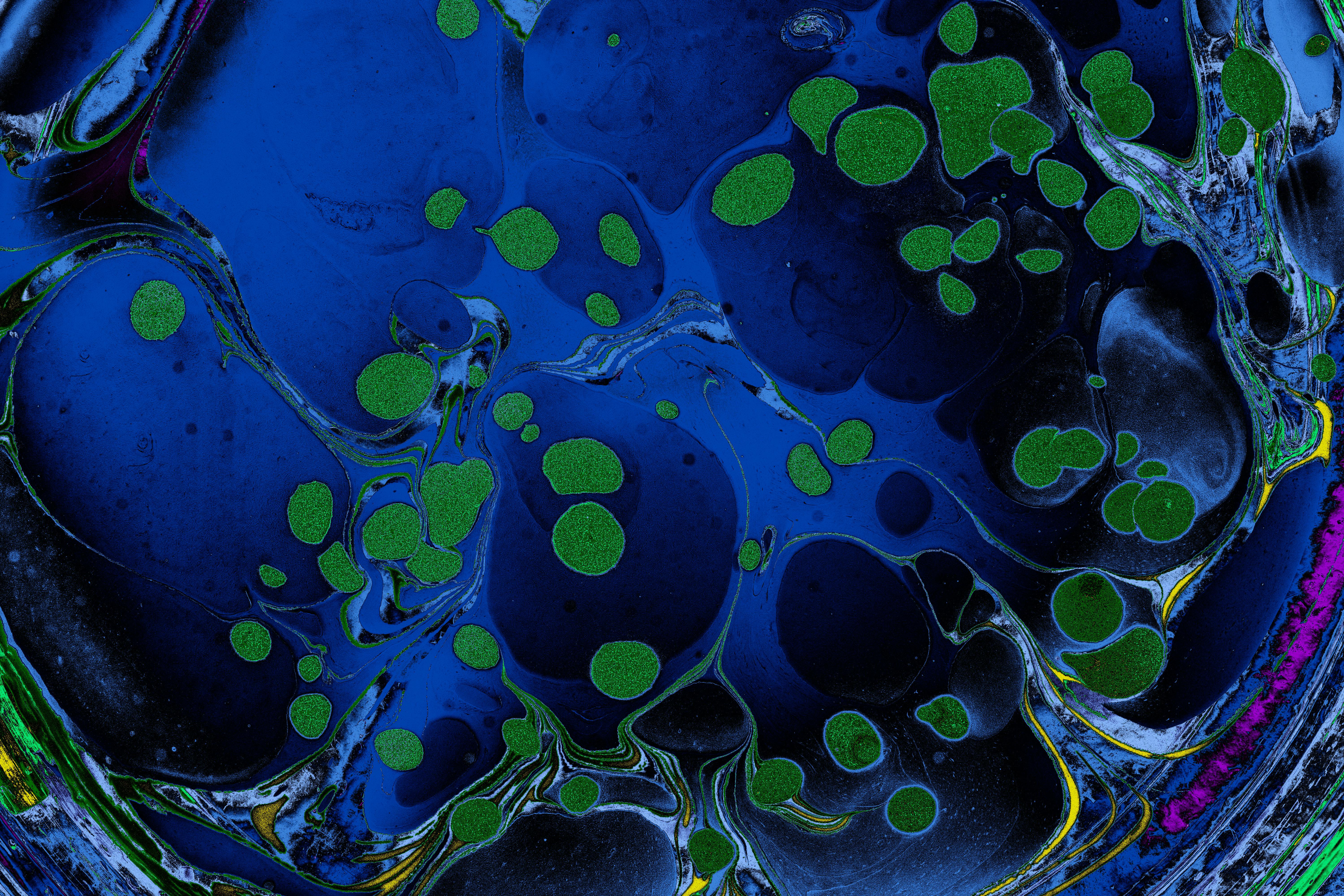 A blue and green abstract image of a cell · Free Stock Photo