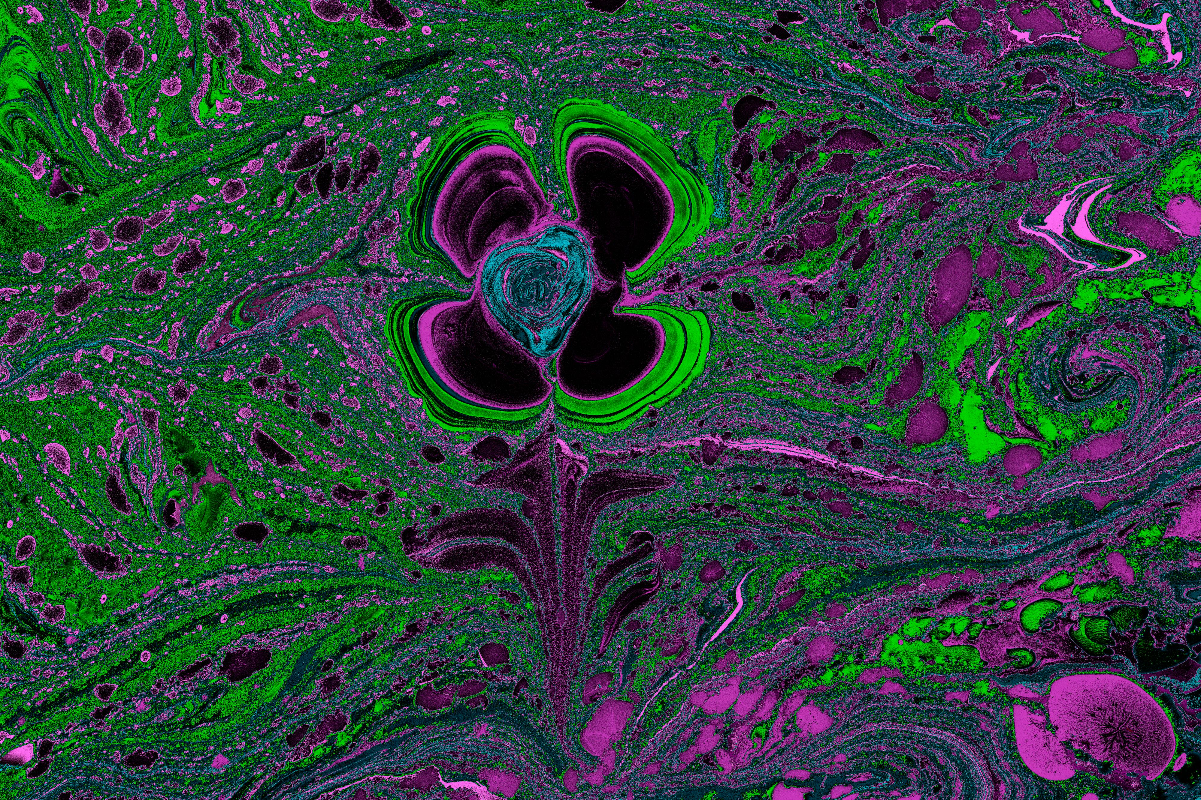 Trippy Floral Pattern · Free Stock Photo