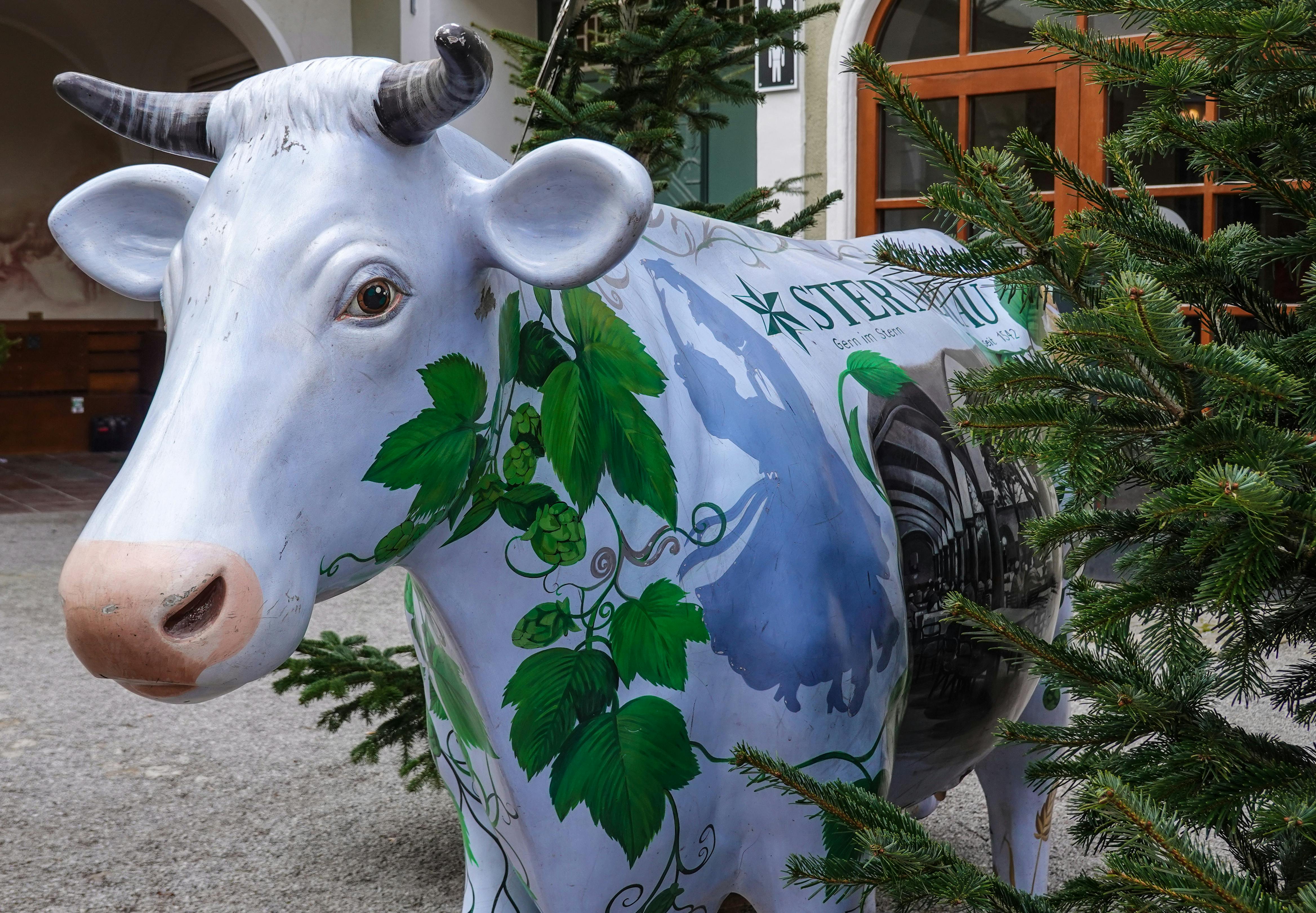 Statue of Cow · Free Stock Photo