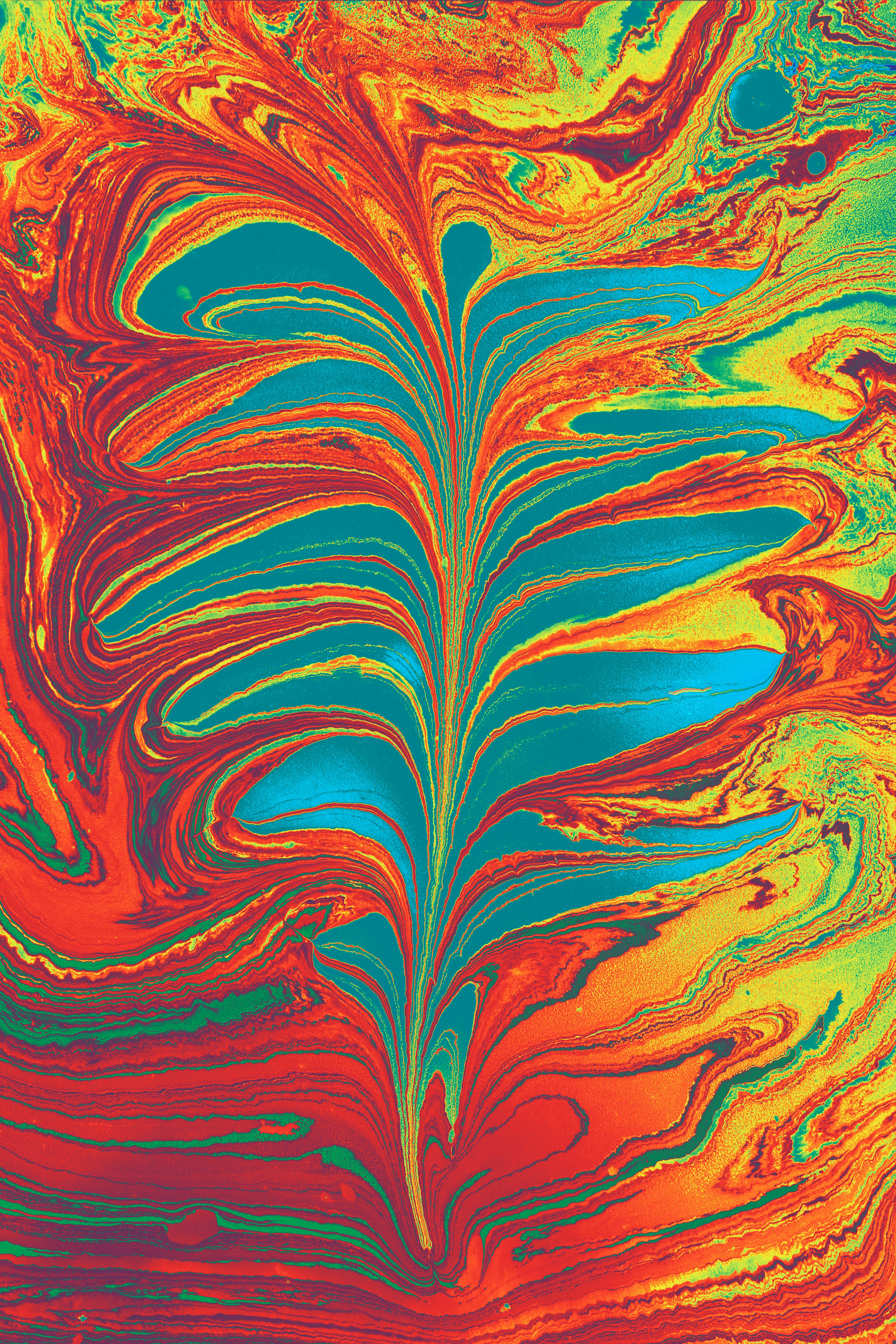 Abstract Multi Colored Painting · Free Stock Photo