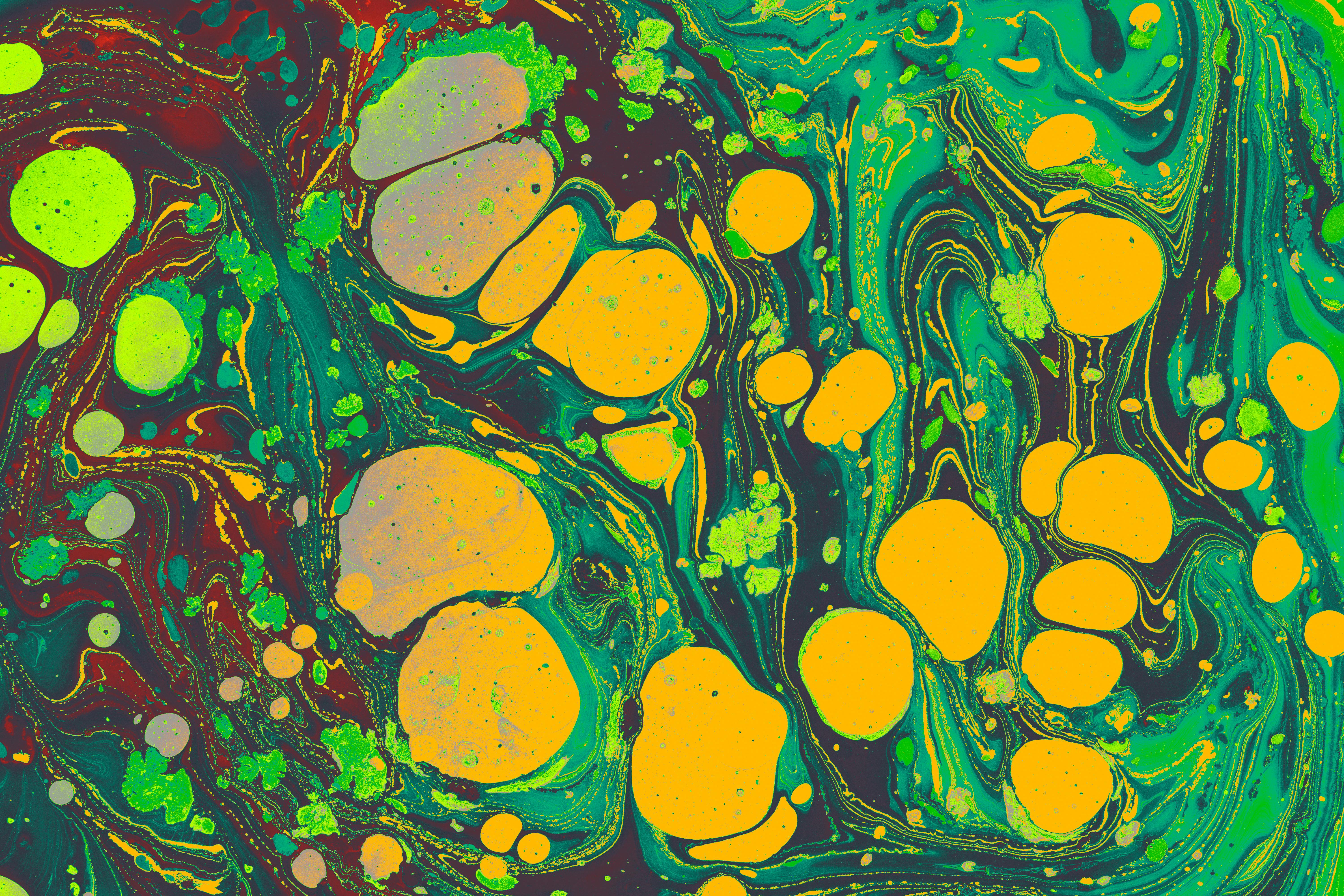 Abstract Marbling Painting · Free Stock Photo