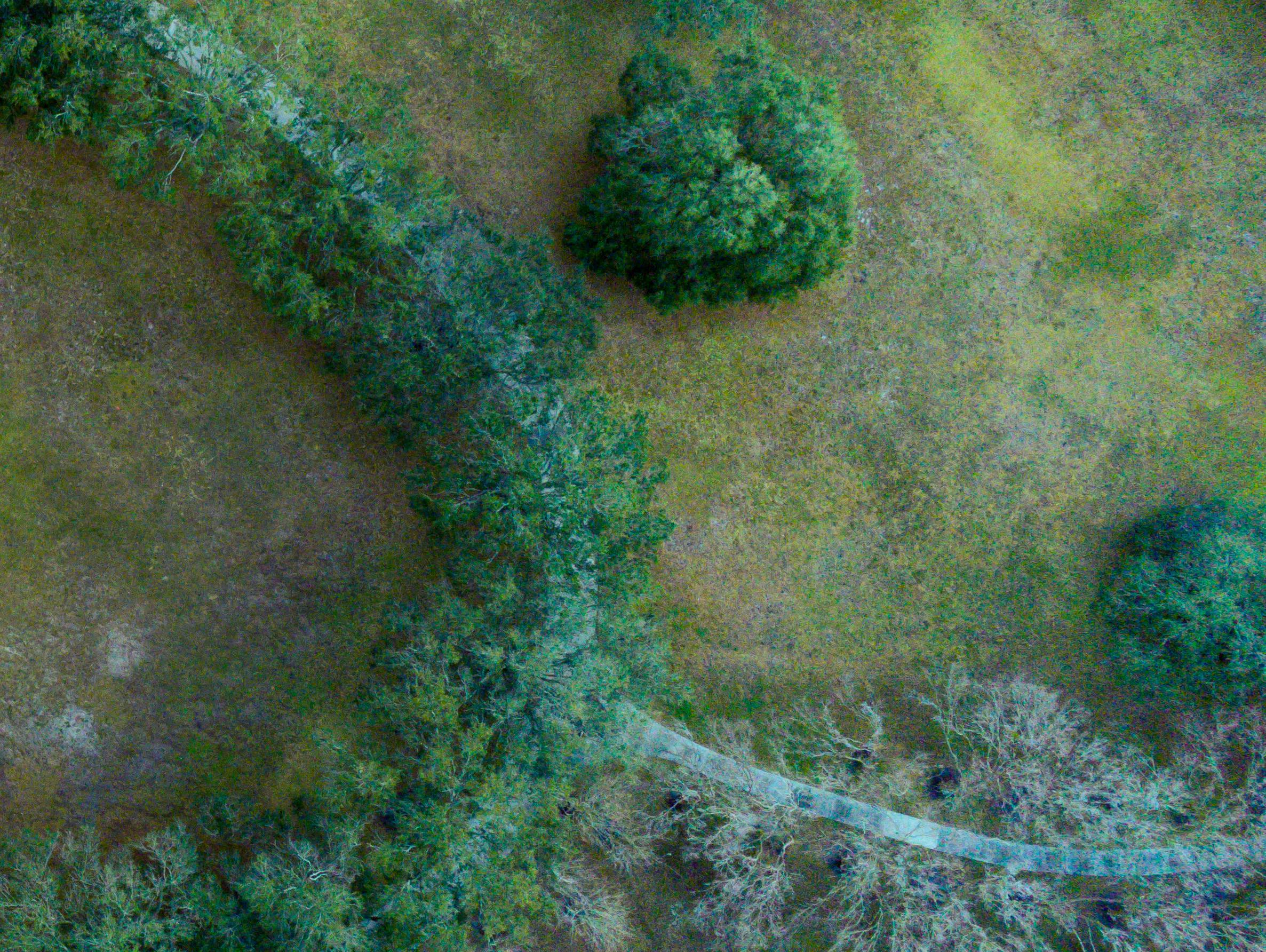 Thomas Haney – fotografi