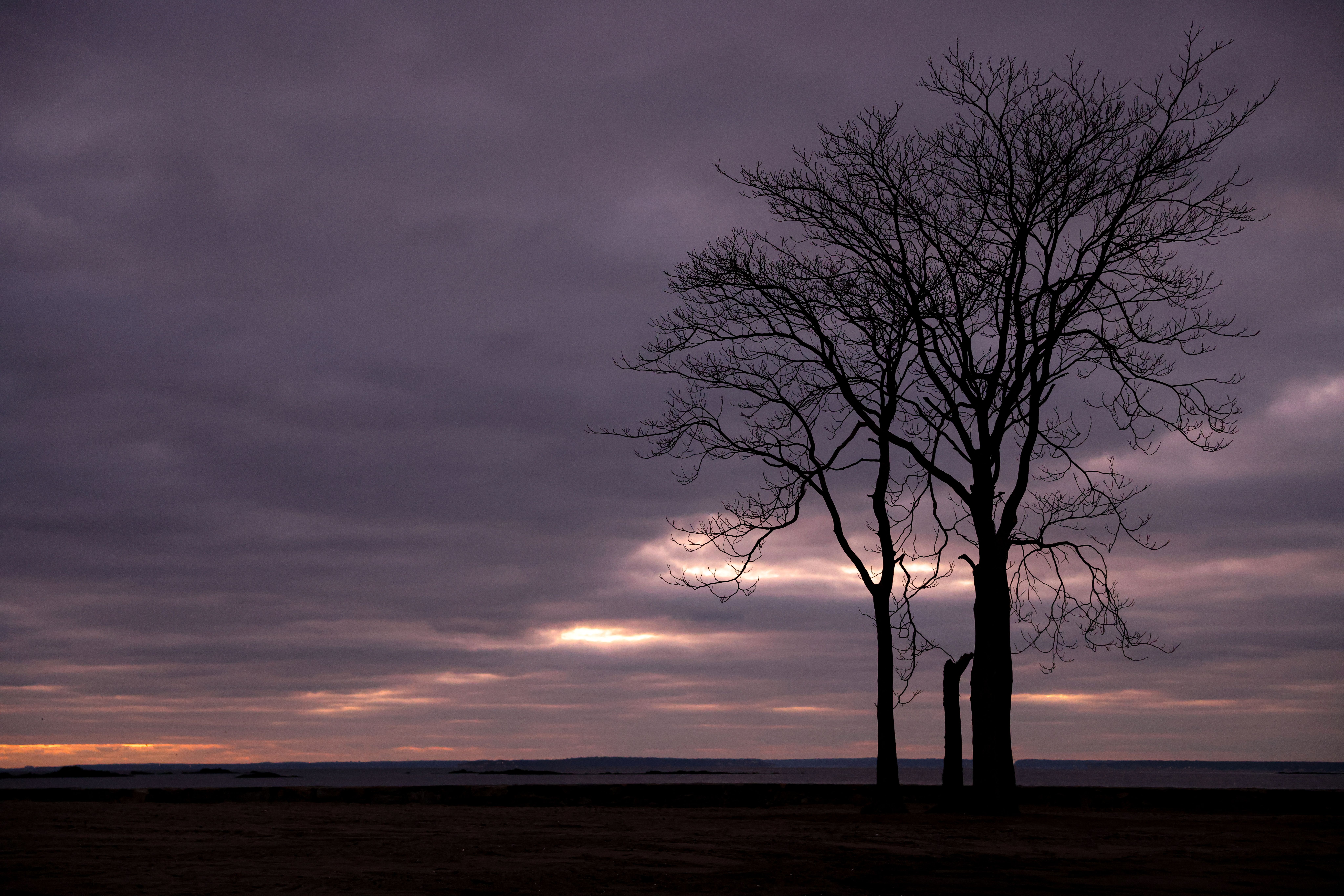 View of Leafless Trees near a Body of Water at Sunset · Free Stock Photo