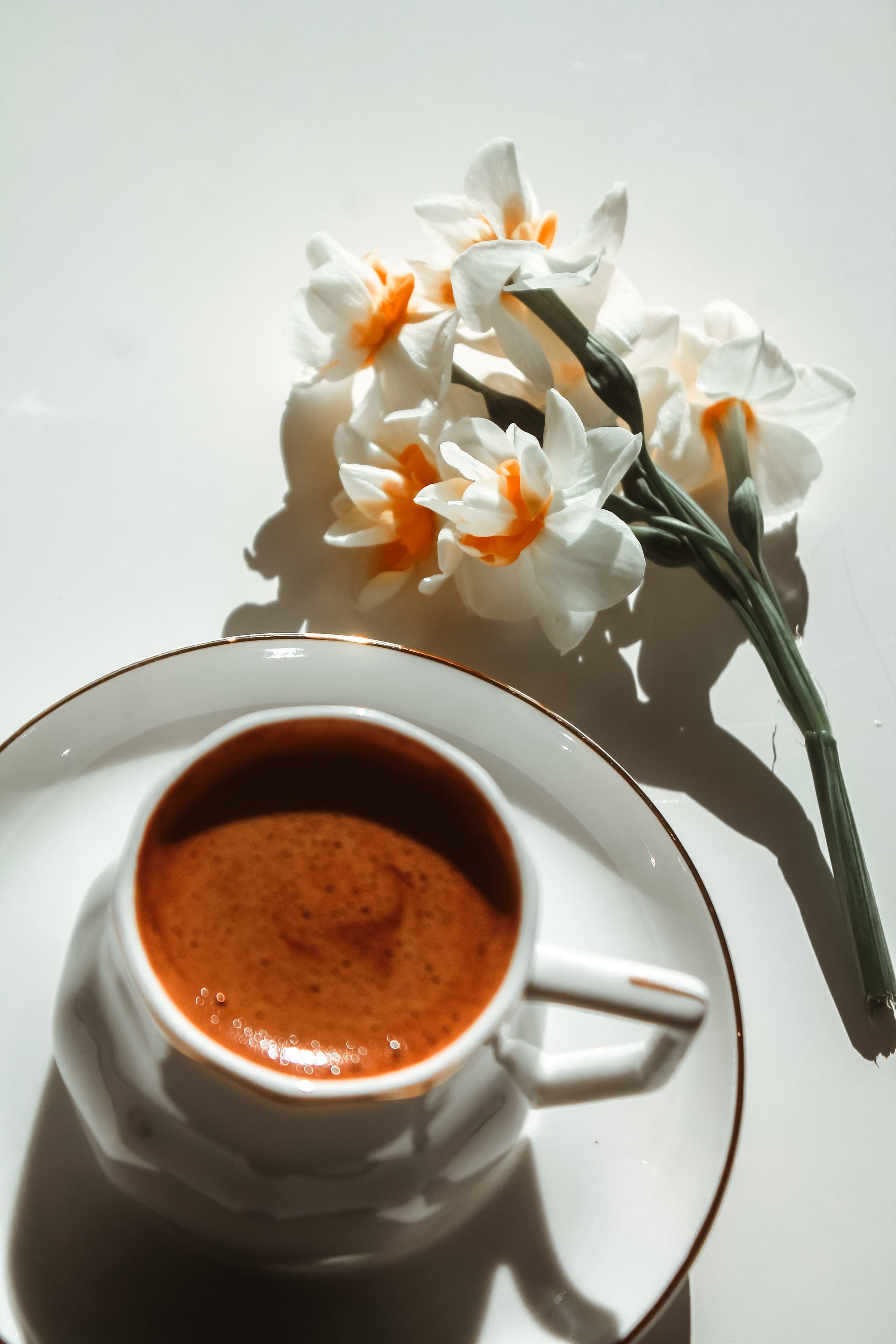 Cup of Coffee next to Daffodil Flower · Free Stock Photo
