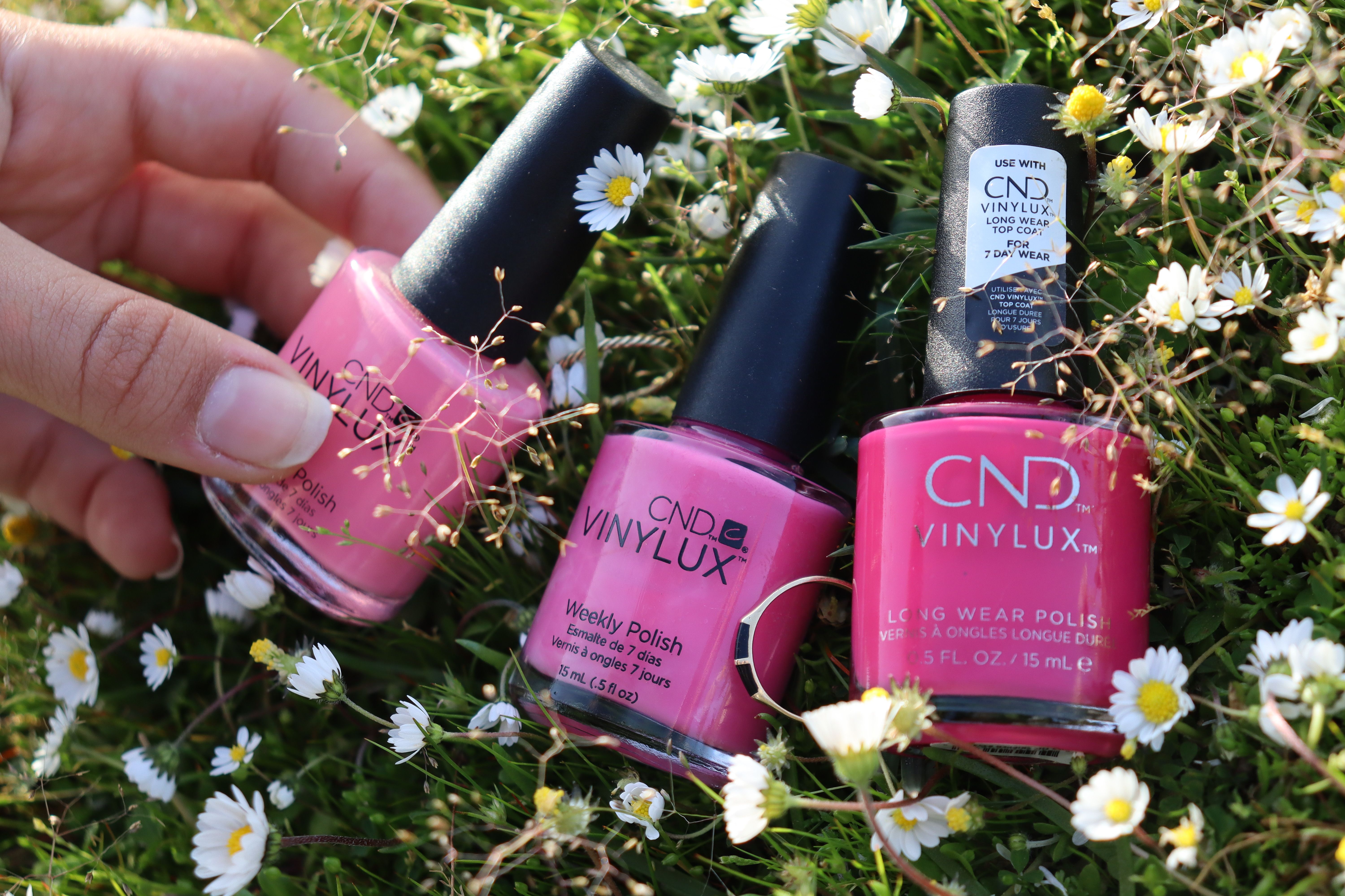 Photo of Two Red Lipsticks and Three Assorted-color Nail Polish Bottles ...