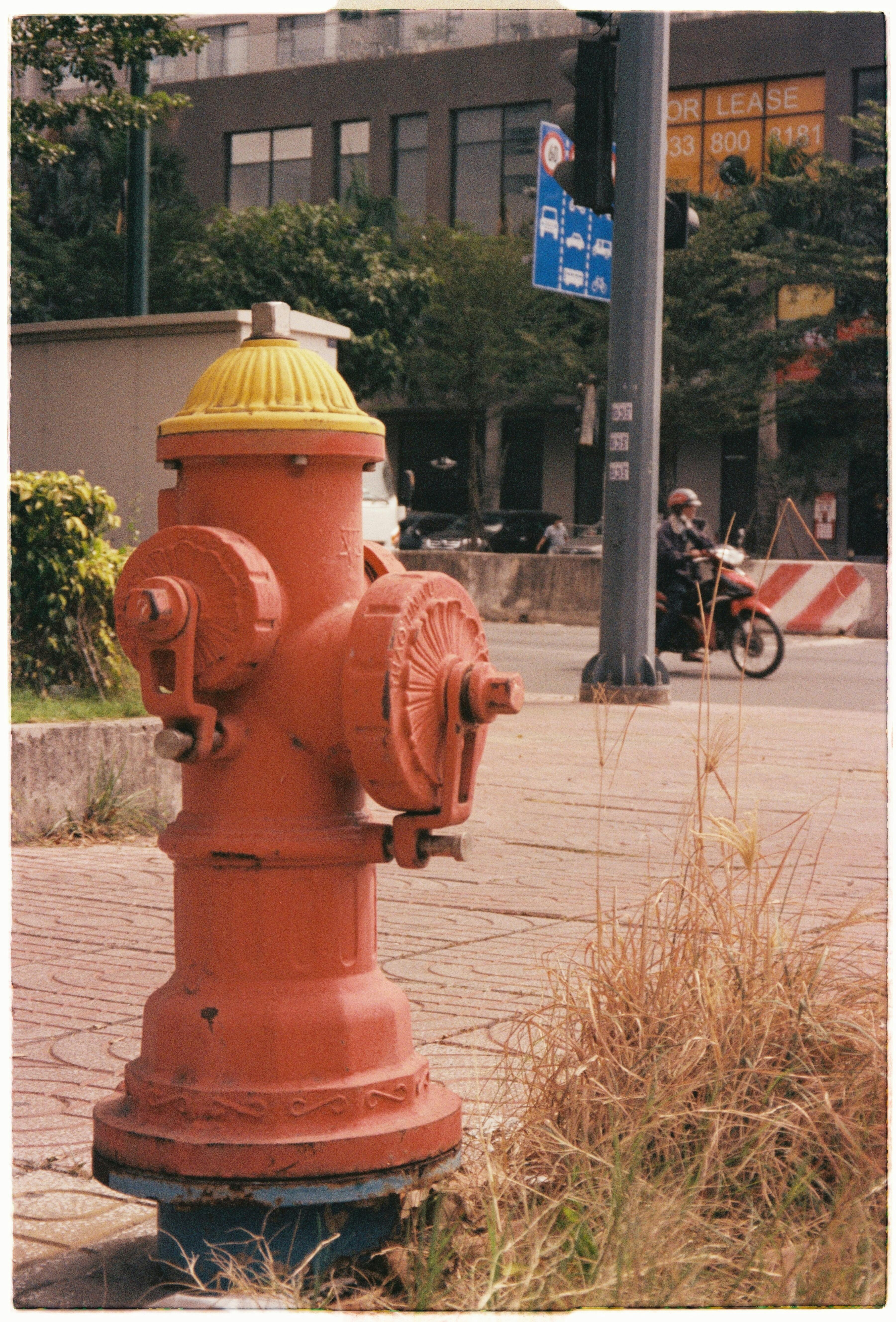 Fire Hydrant in City · Free Stock Photo