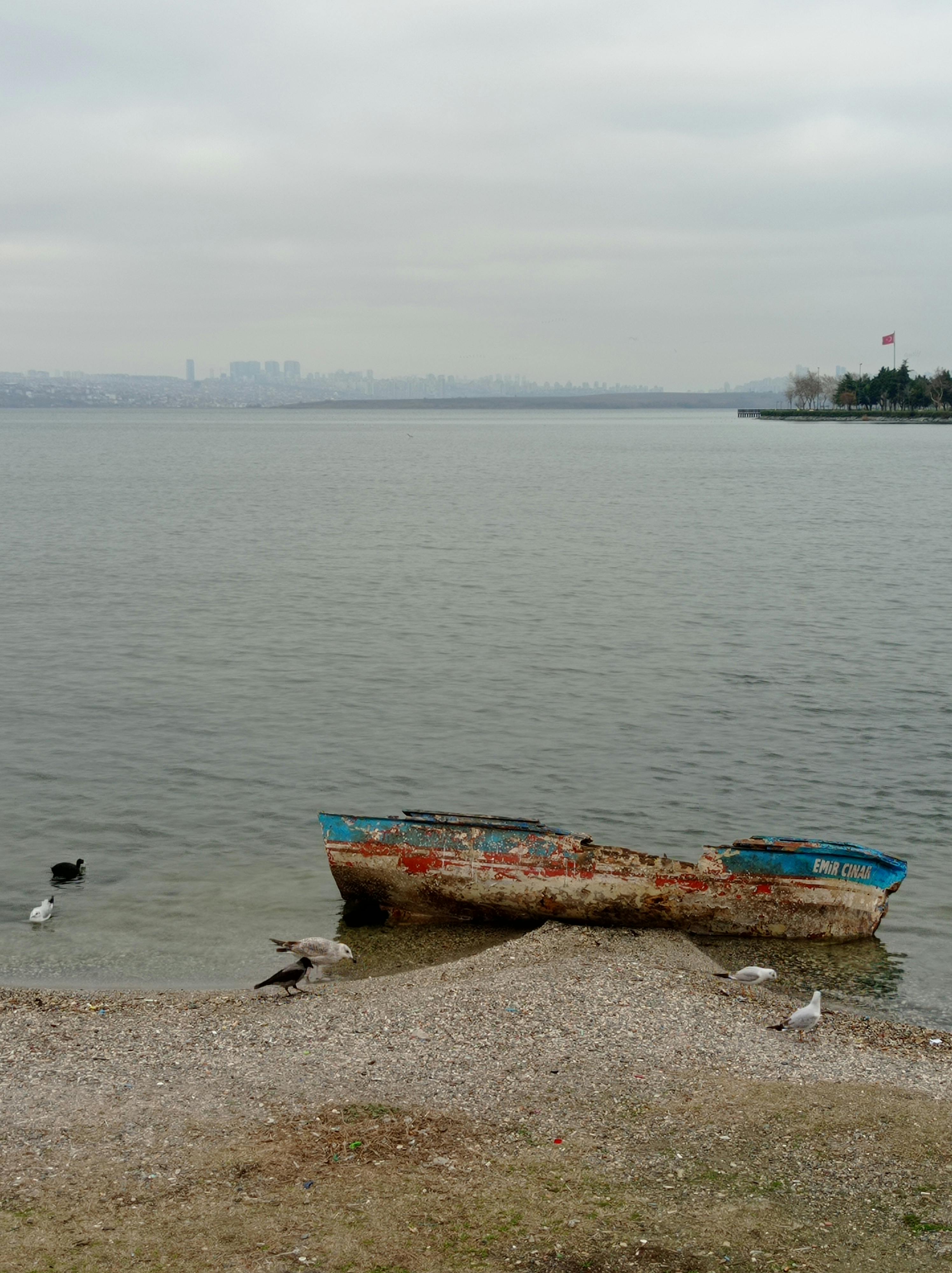 Decaying Boat at Beach · Free Stock Photo
