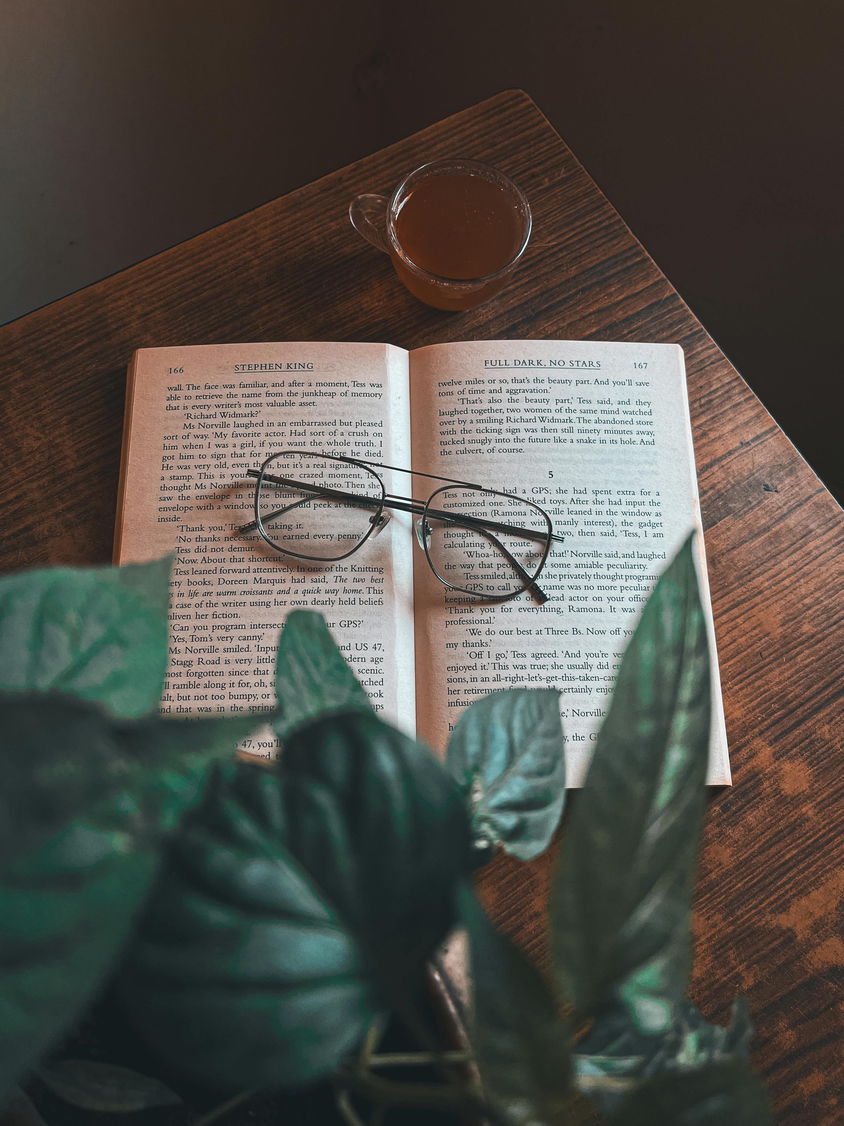 Reading a Book · Free Stock Photo