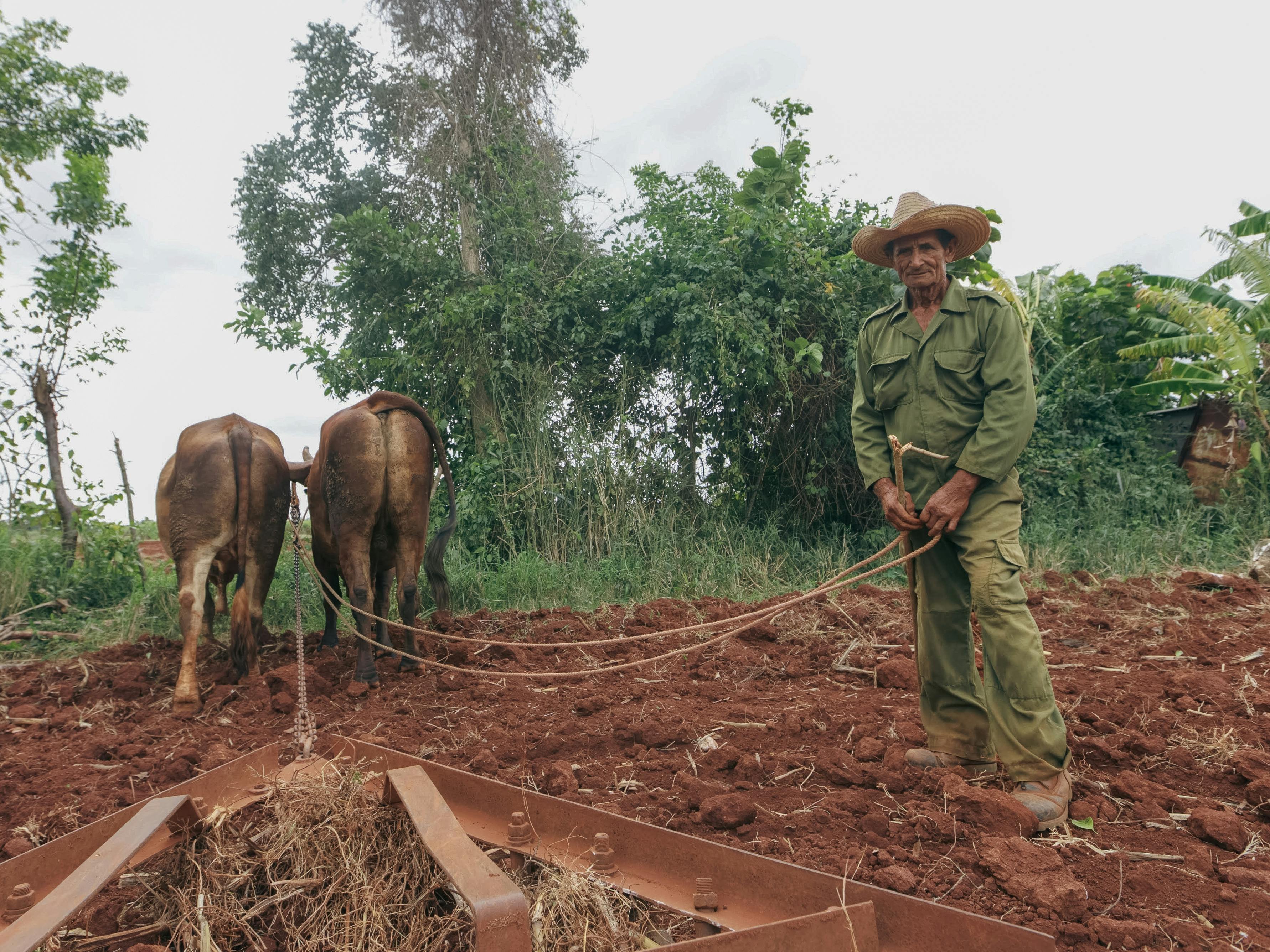 Man Spraying Field with Pesticides · Free Stock Photo